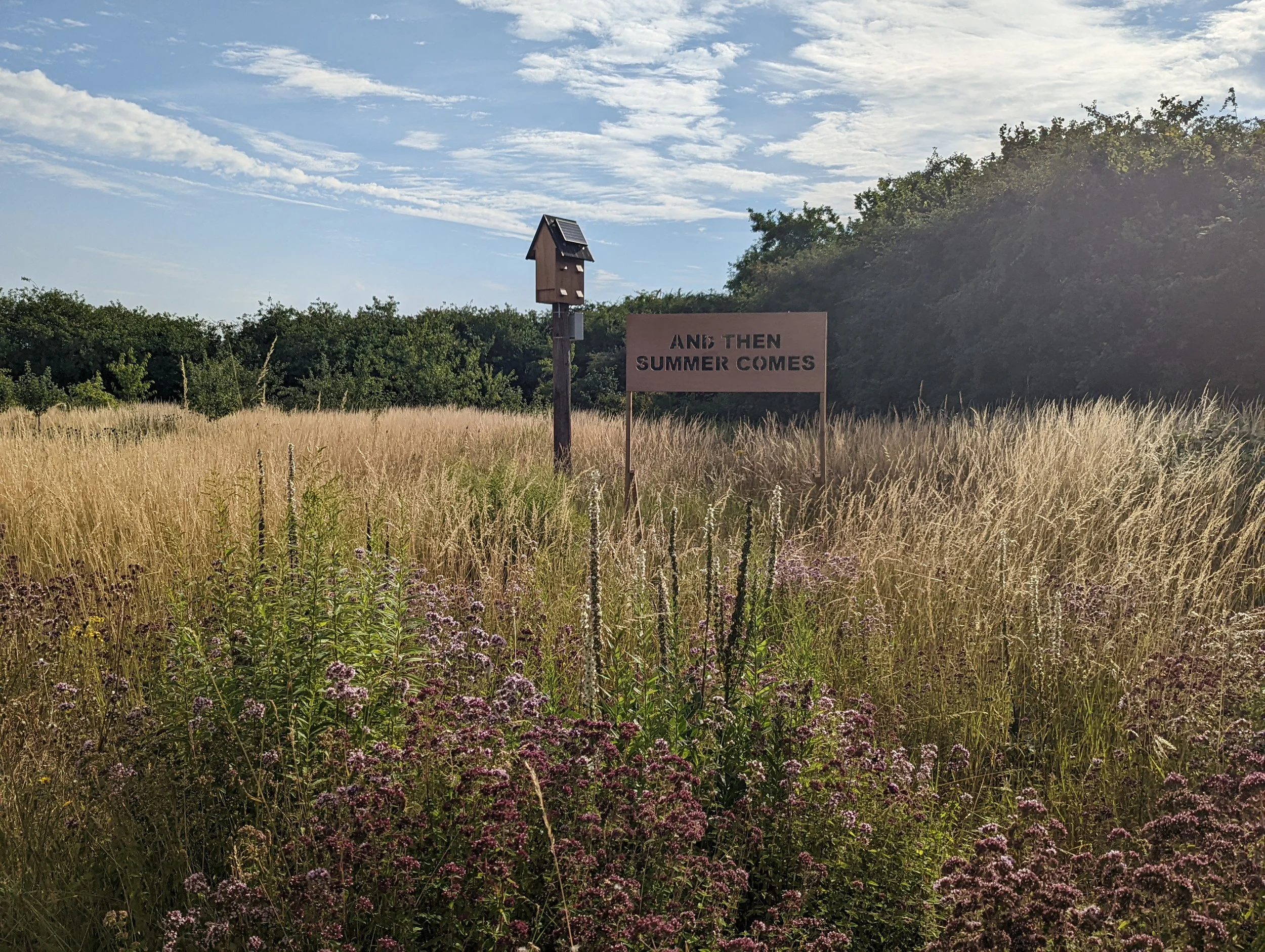 Fassage Green — Liz King Architect