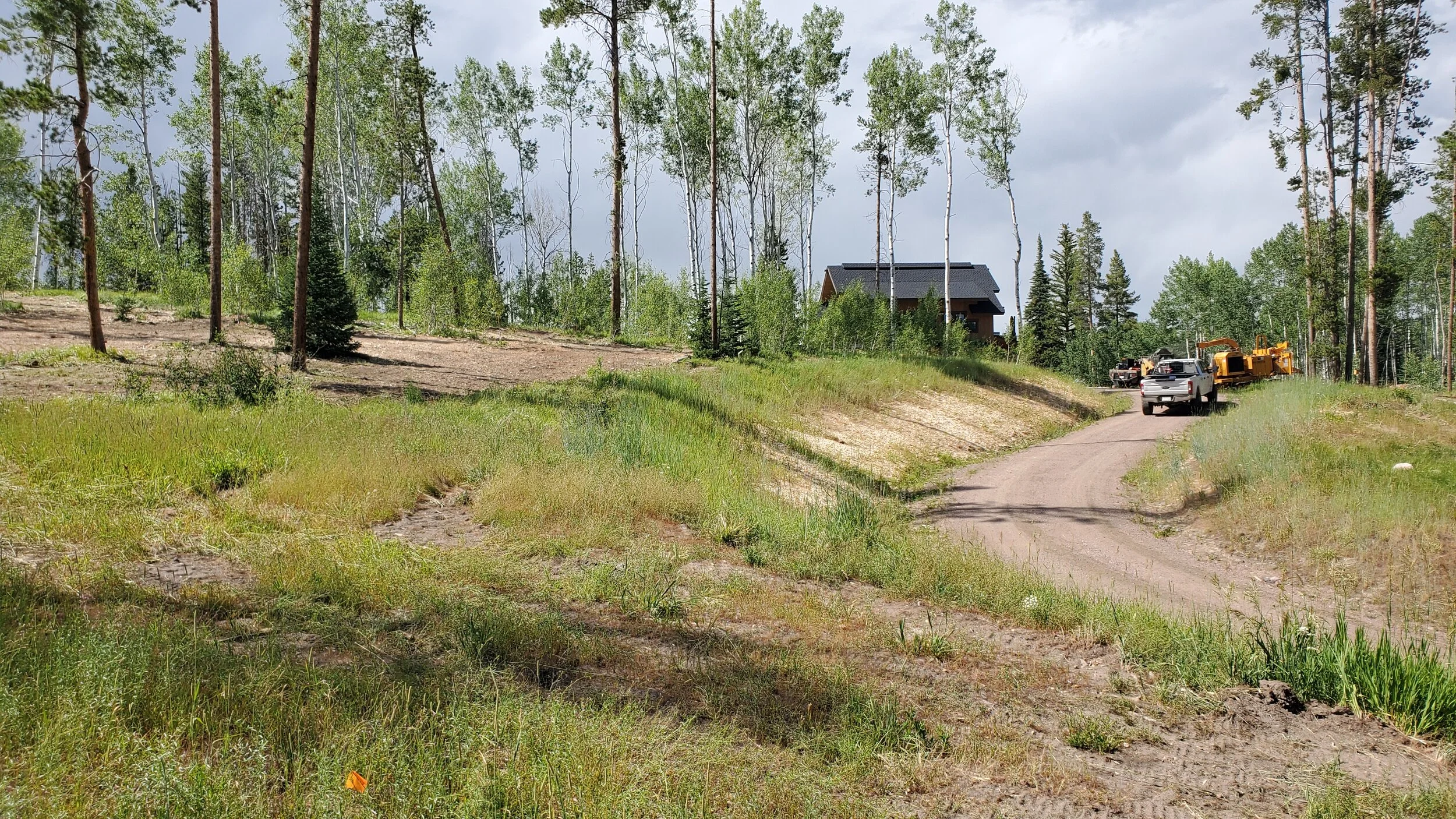 Fire Mitigation — Marshall Forestry Solutions