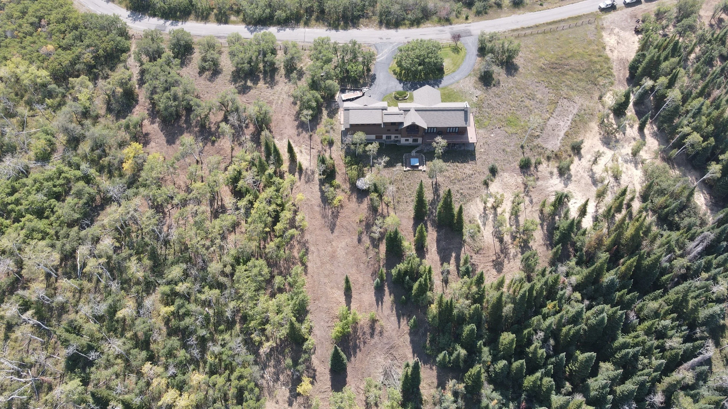 Mastication — Marshall Forestry Solutions