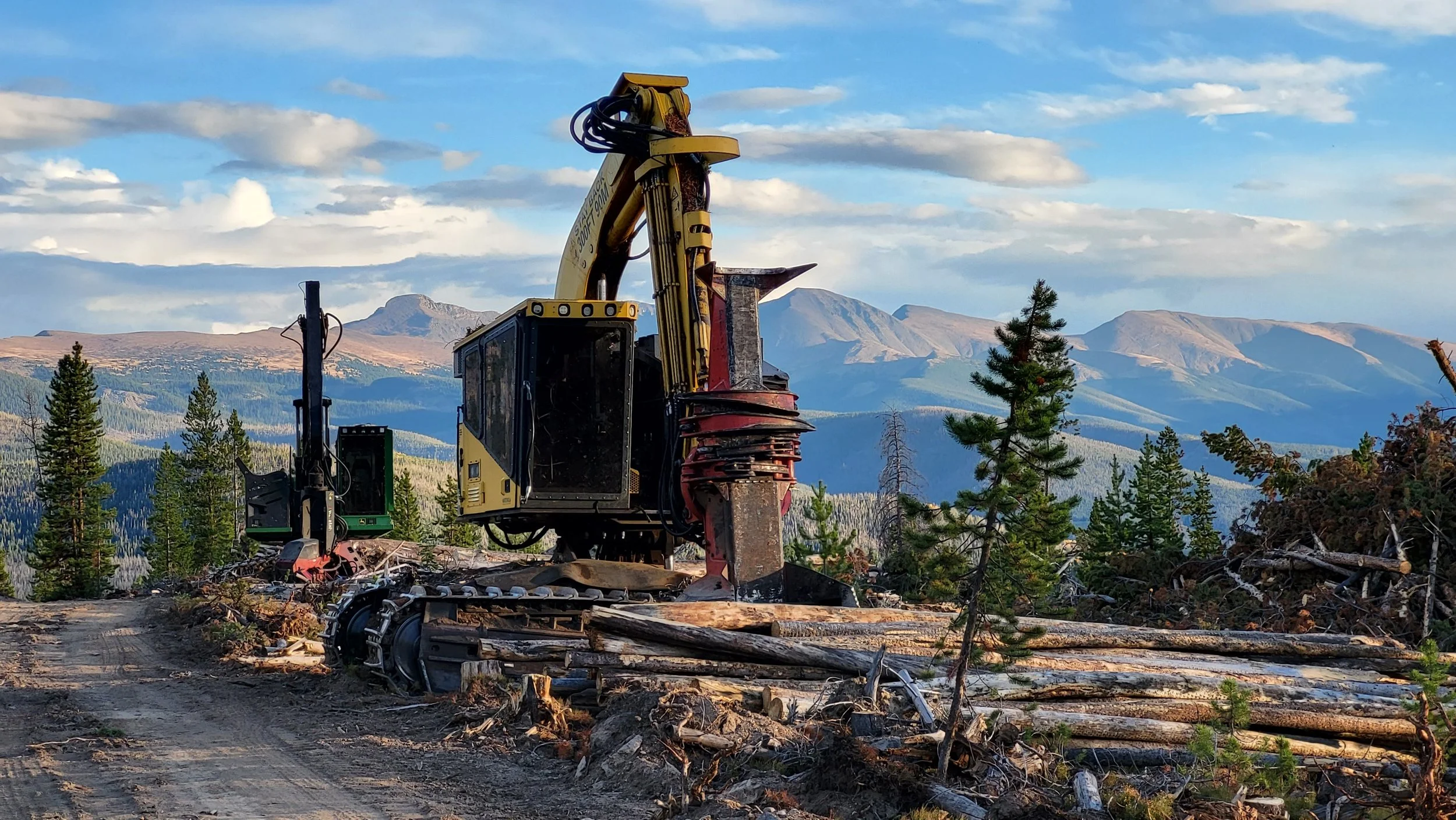 Logging — Marshall Forestry Solutions