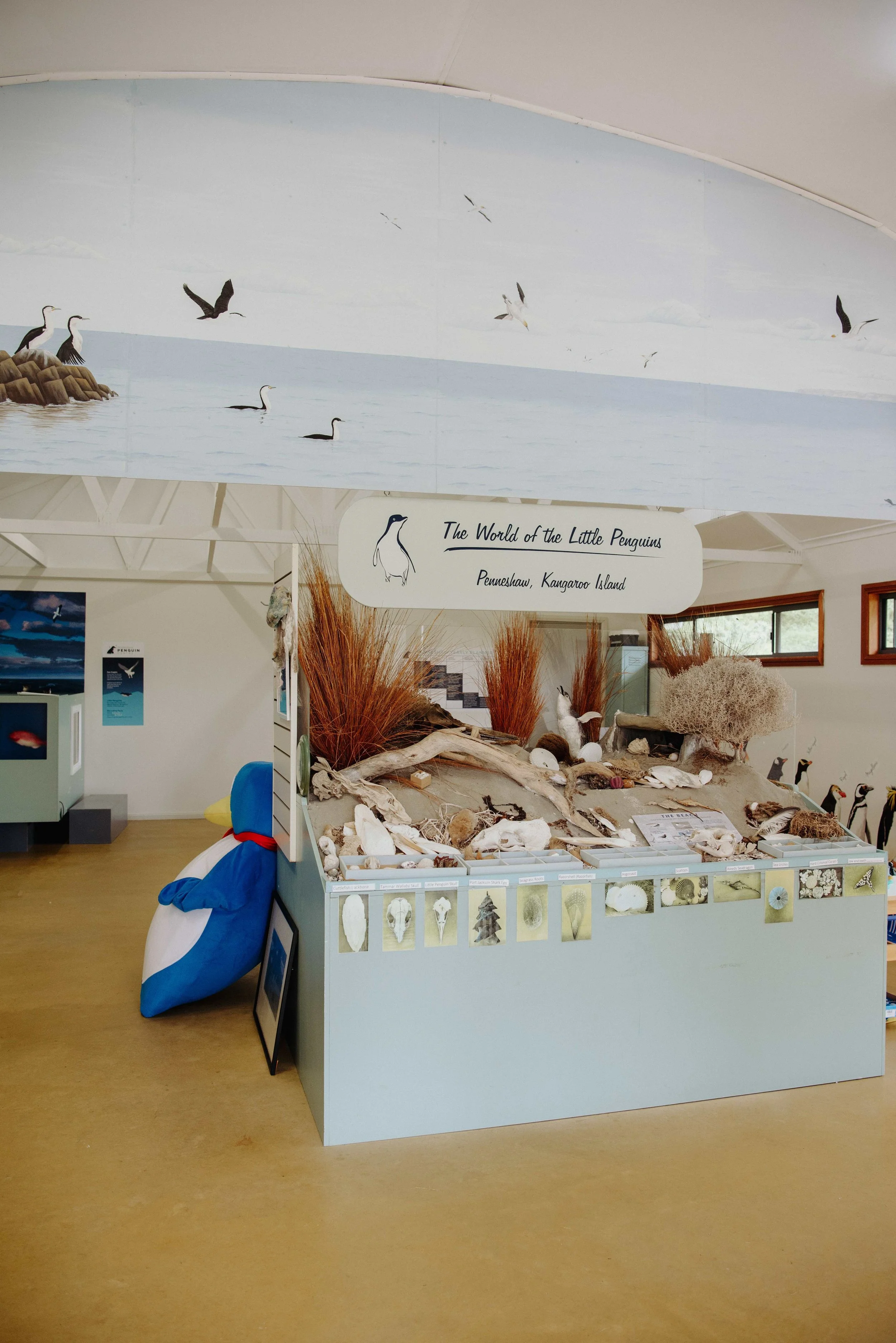 Penneshaw Penguin Centre — S & S Property and Projects