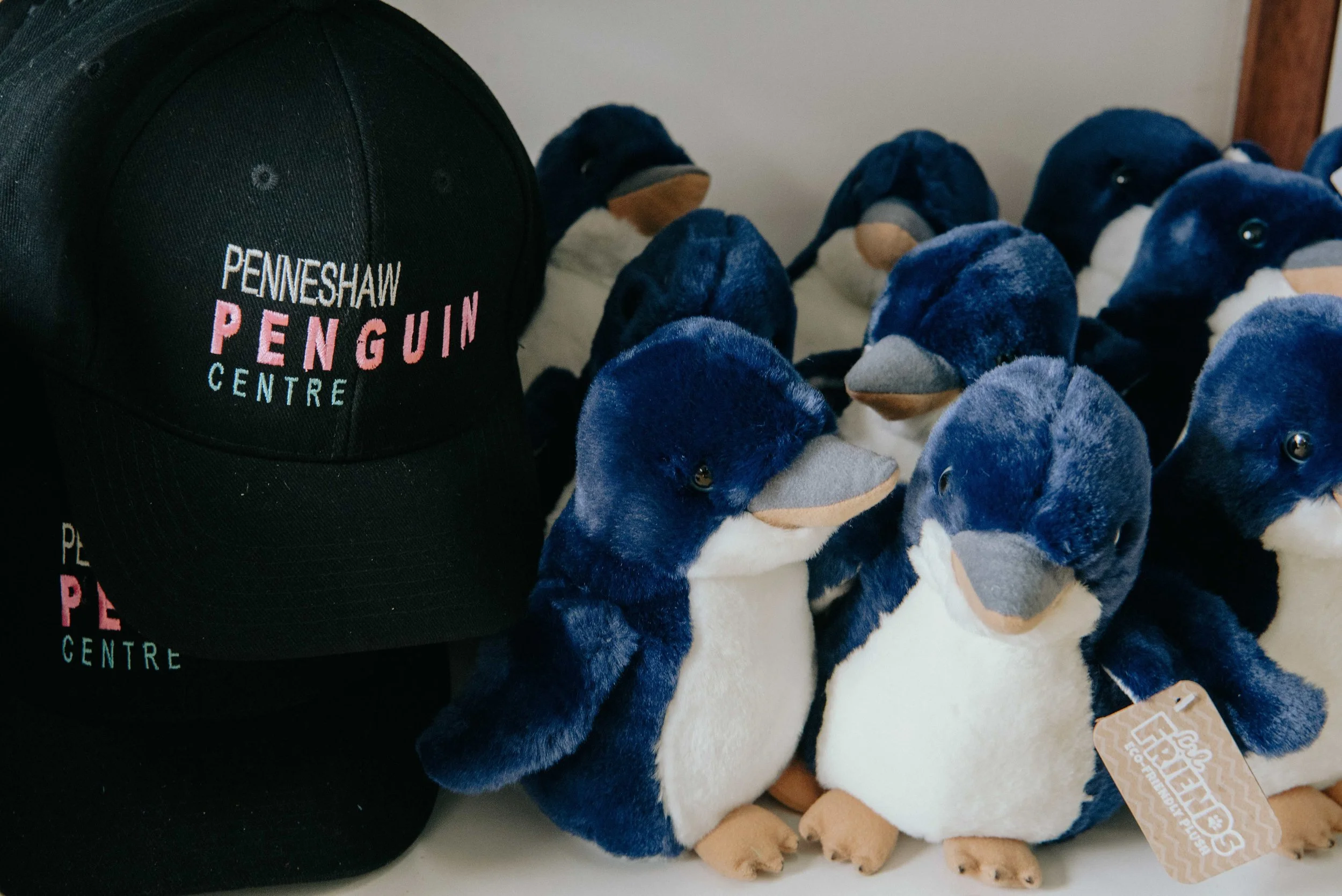 Penneshaw Penguin Centre — S & S Property and Projects