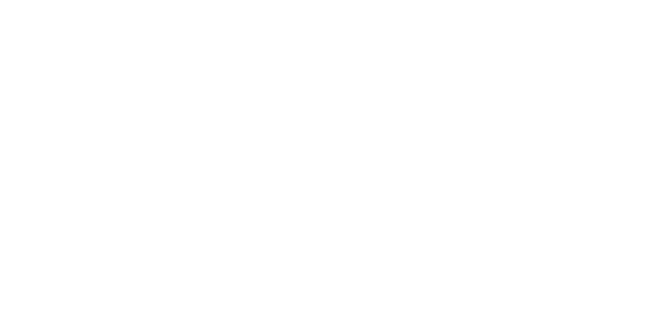 IL BOSCO PIZZA - Wood-Fired Pizza