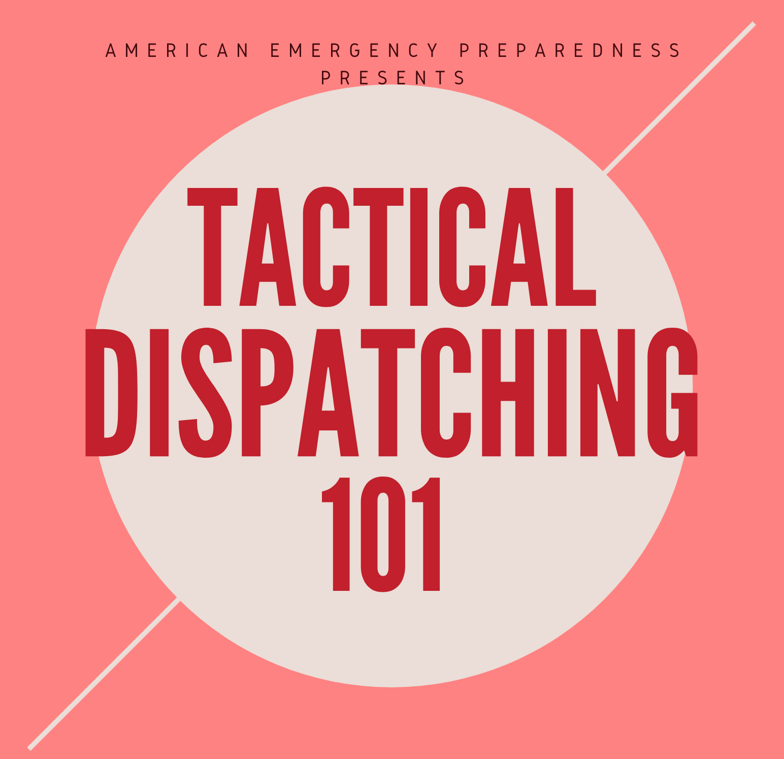 Bridging The Gap — American Emergency Preparedness, LLC