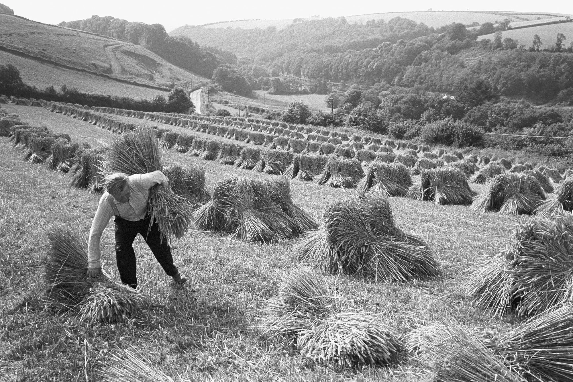 Best and good — Beaford