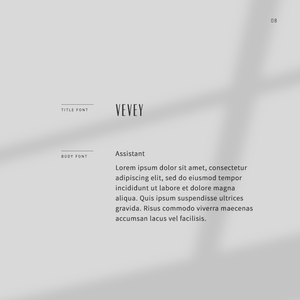 8 Sleek and Modern Font Pairings (That Are Also Free) — The Denizen Co.