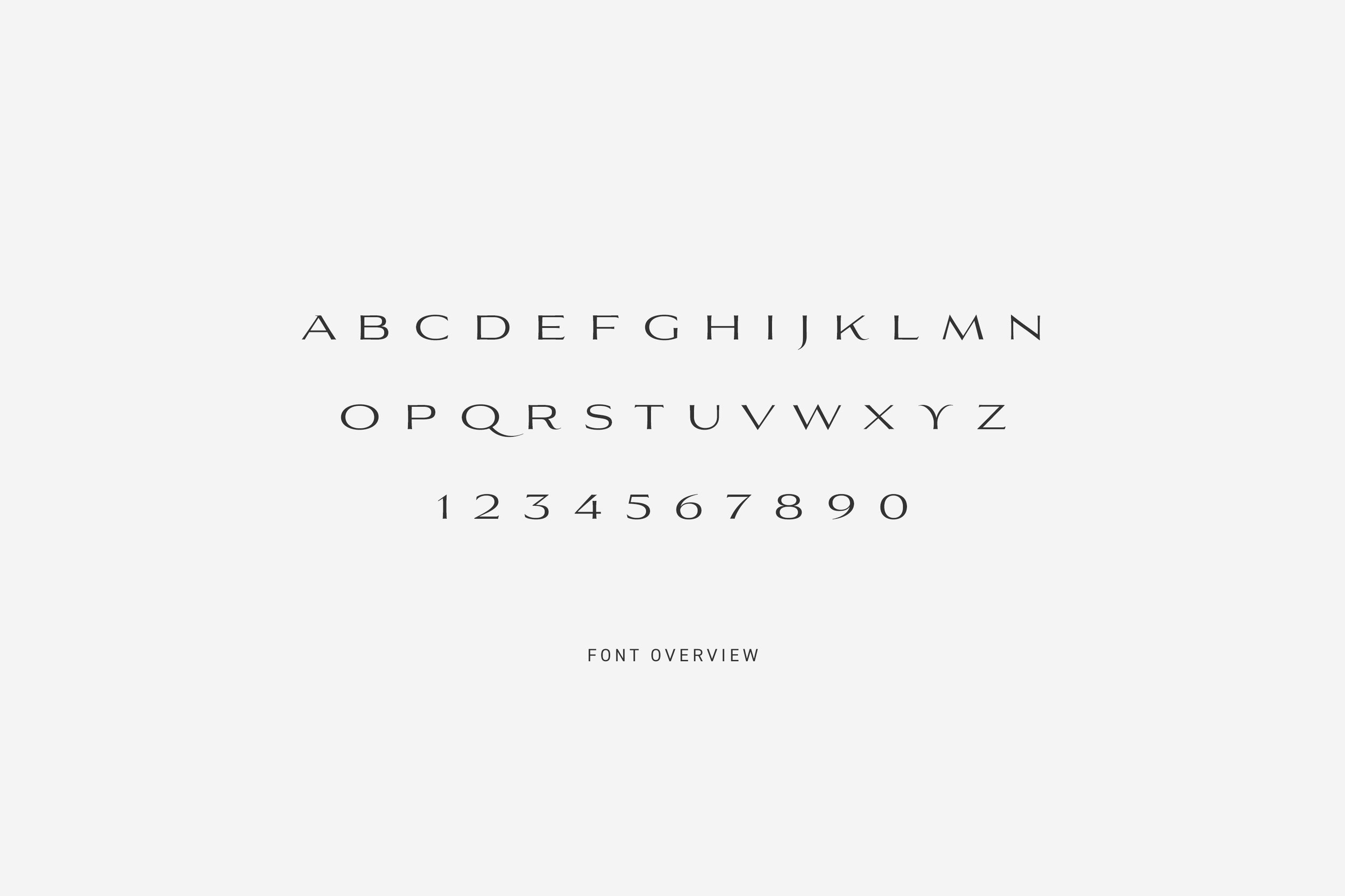 Rosetti: A Customizable Serif Display Wordmark Logo — The Denizen Co.