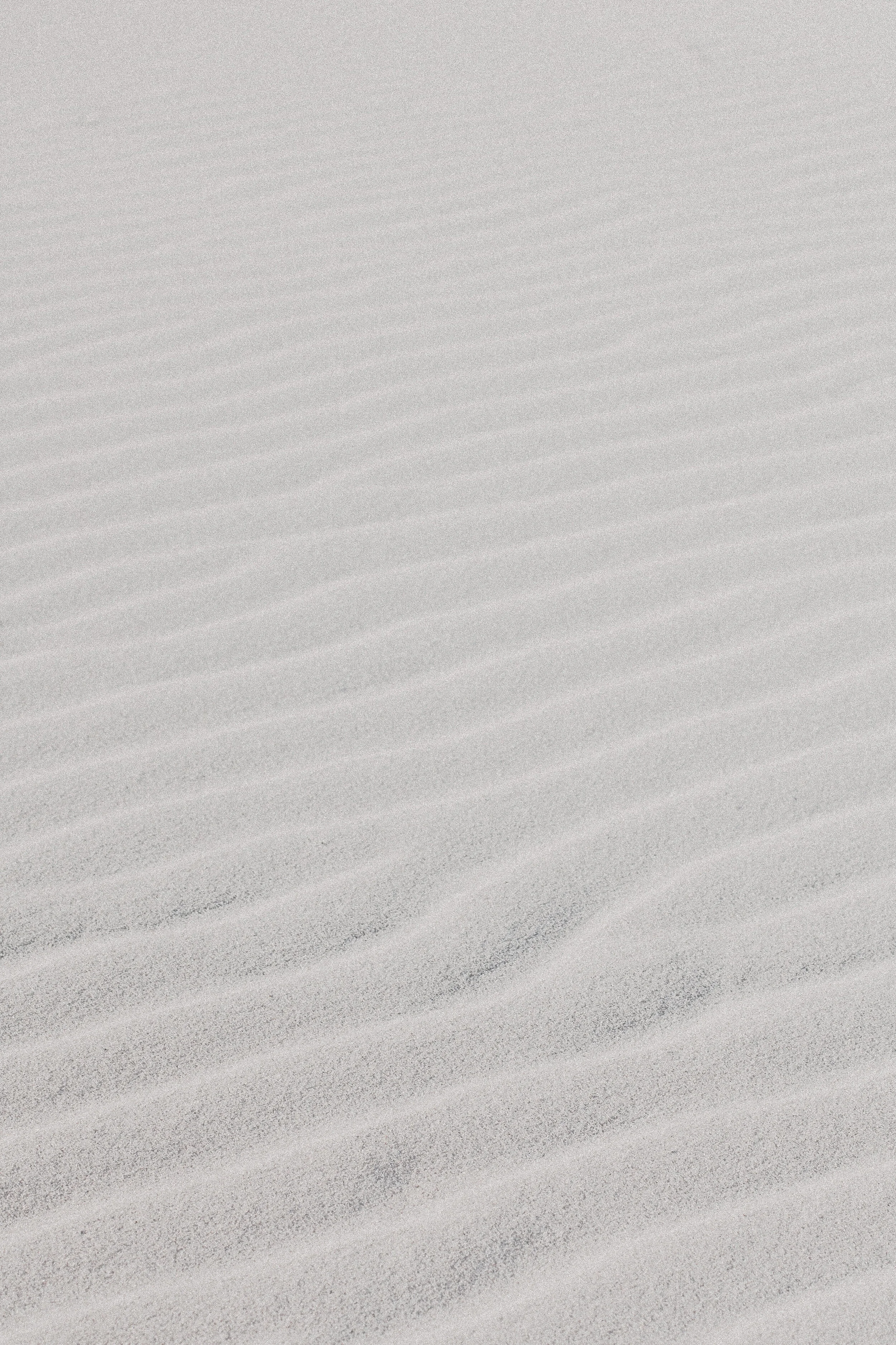 12 Zen Buddhist Practices That Will Change Your Life — The Denizen Co.