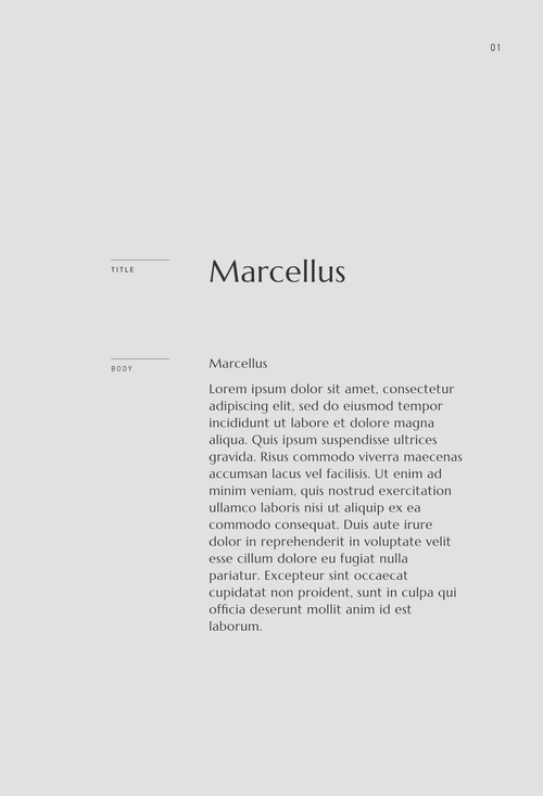 8 Soft and Delicate Fonts (That Are Also Free) — The Denizen Co.