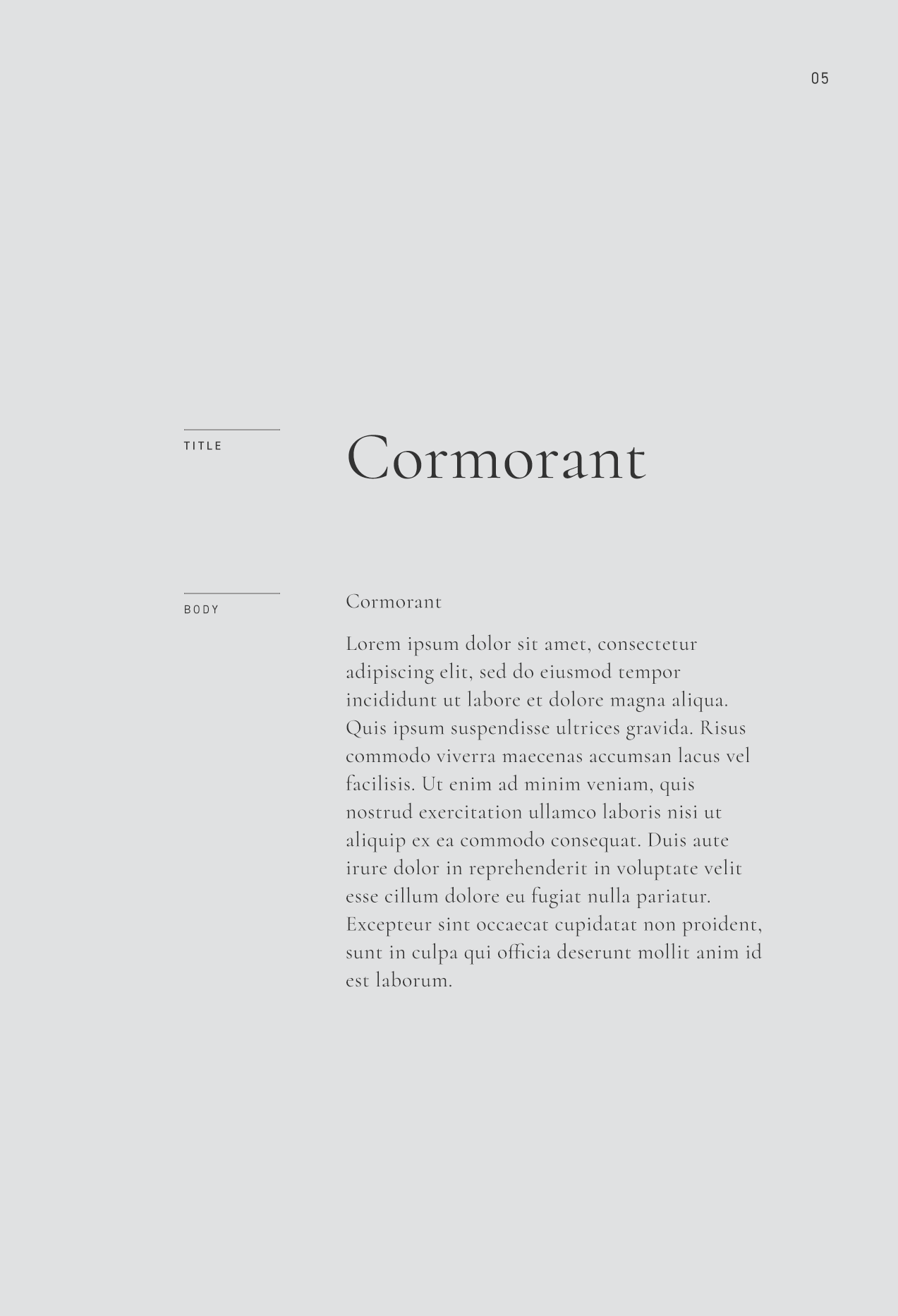 8 Soft and Delicate Fonts (That Are Also Free) — The Denizen Co.