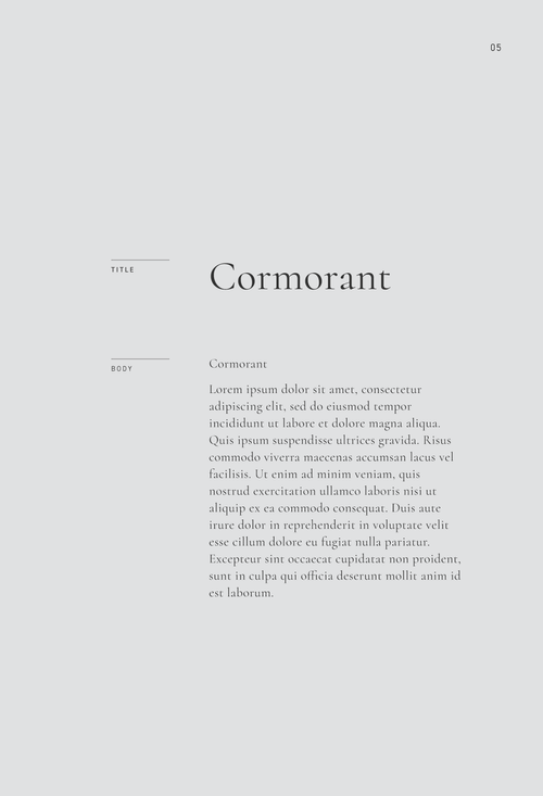 8 Soft and Delicate Fonts (That Are Also Free) — The Denizen Co.