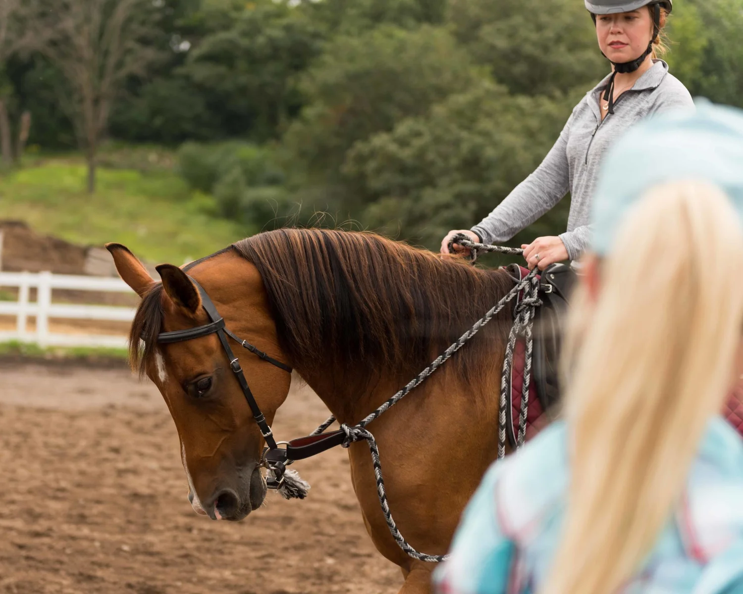 Right Touch Horse Training