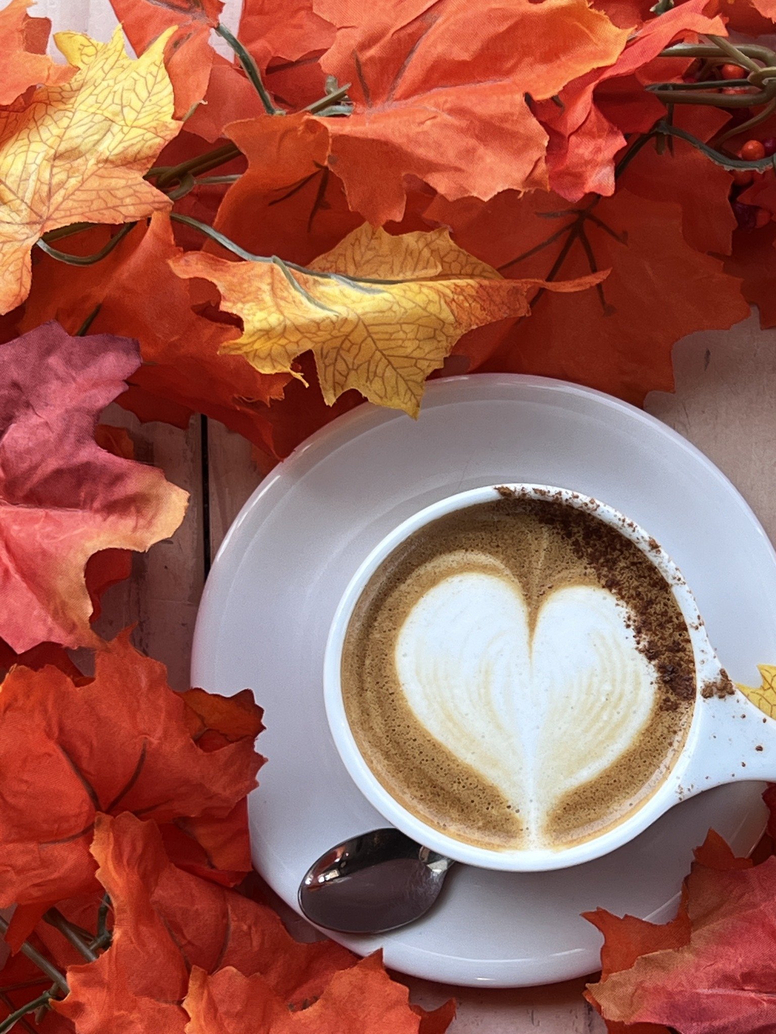 Lighthouse Coffee & Wine | Waco Coffee Shop