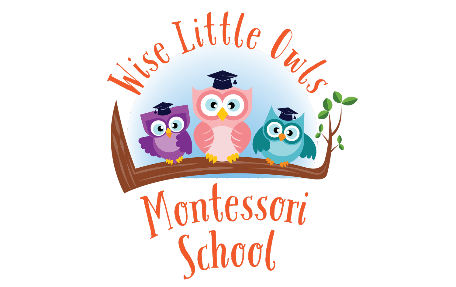 Wise Little Owls Montessori School
