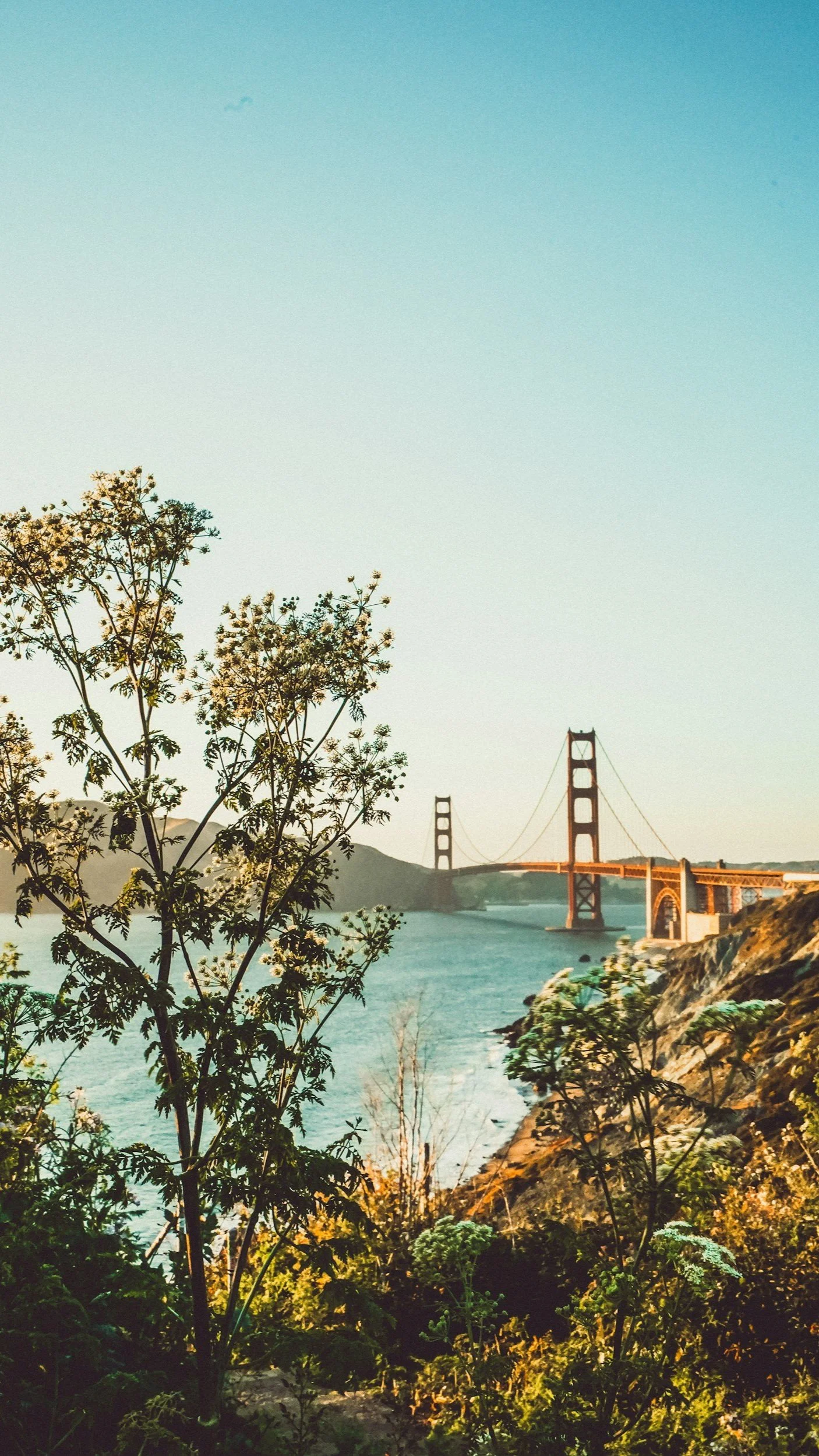 2025 California Writing Conferences