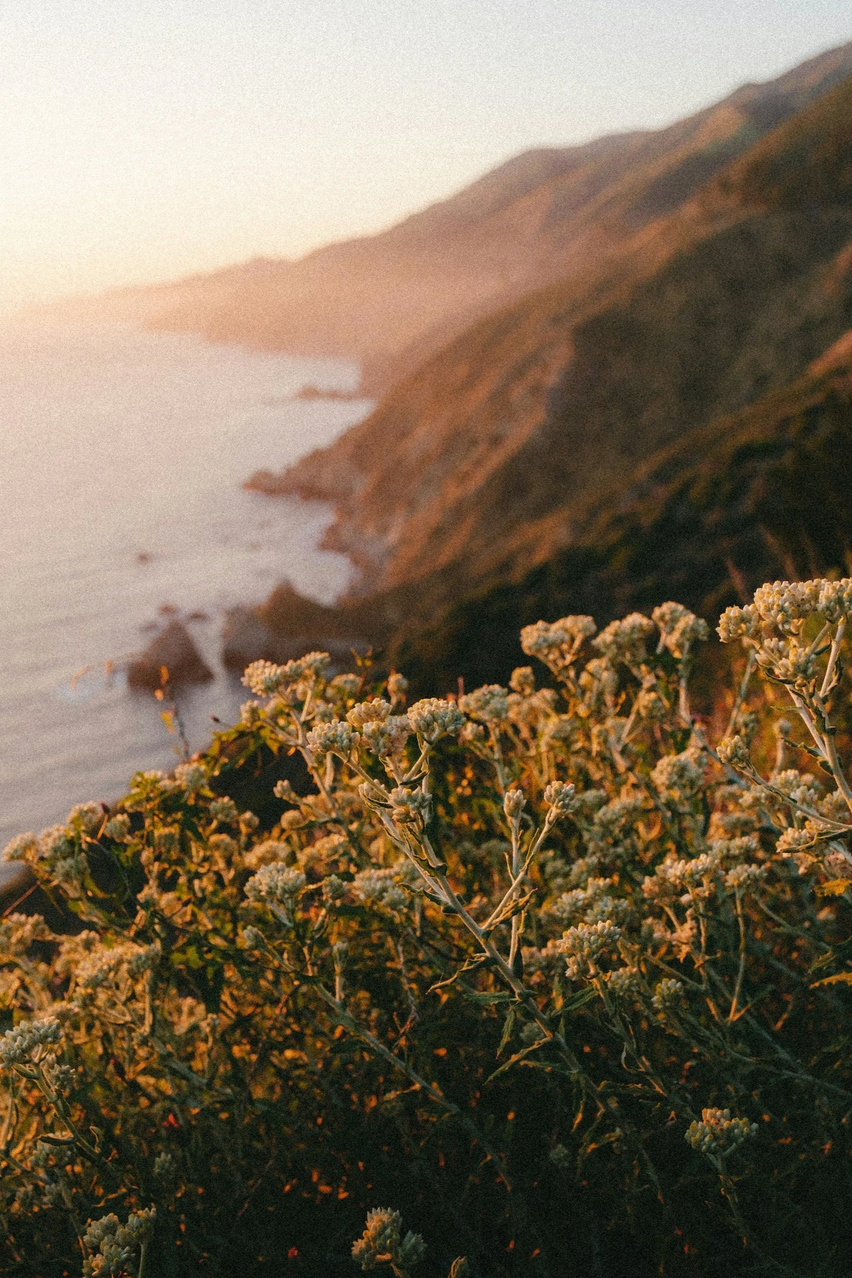 2025 California Writing Conferences