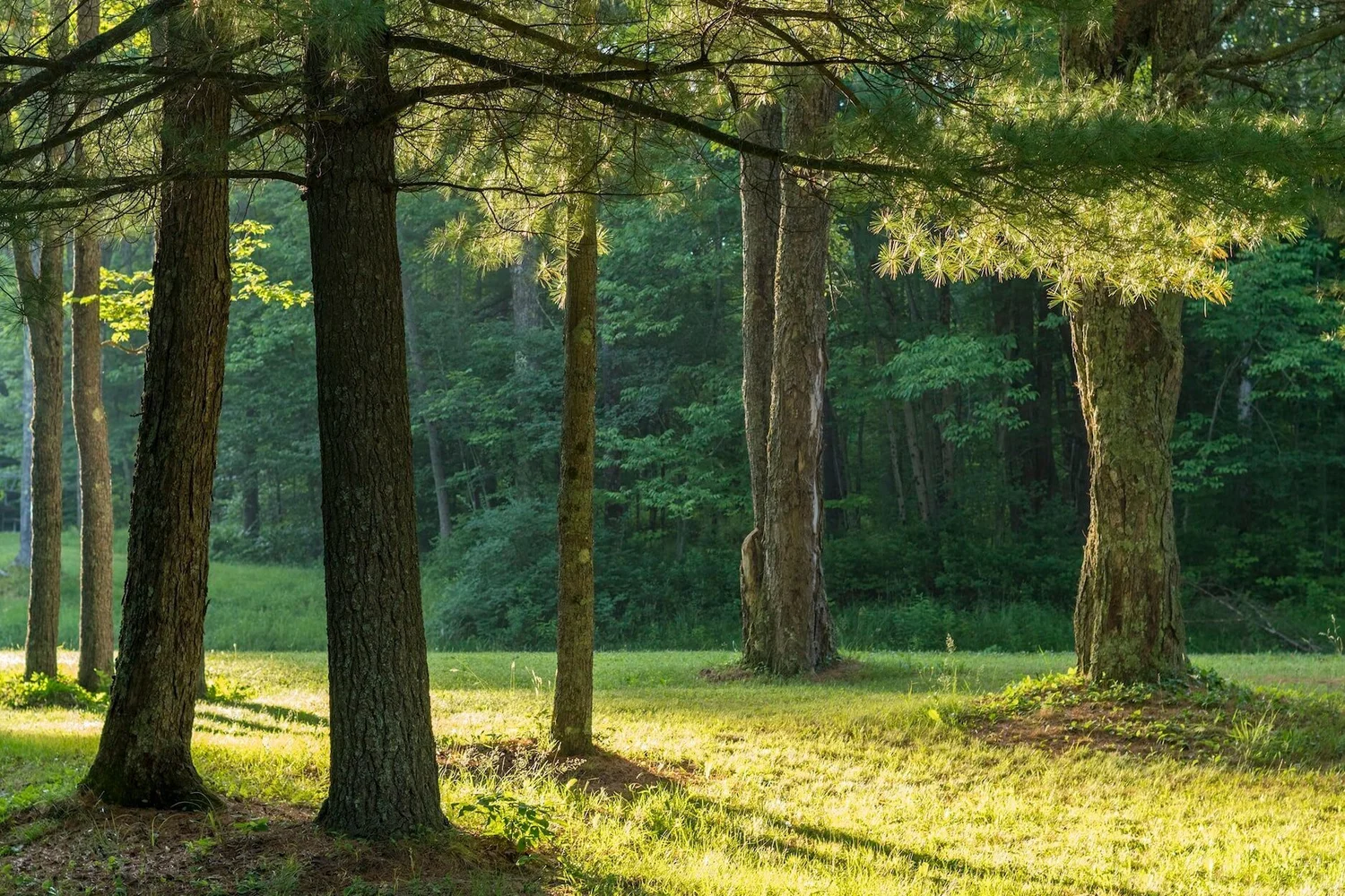 Best New York Writers Conferences