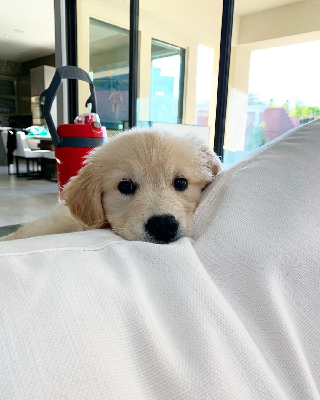 Welcome To The Fam, Bruce Theodore! — VGK Lifestyle