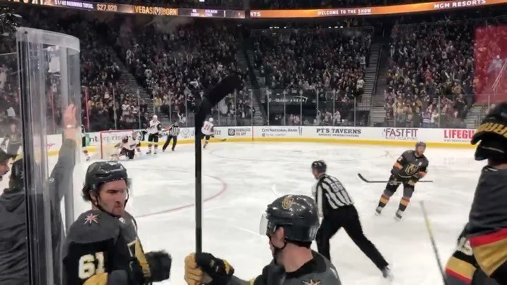 Welcome to VGK, Ashali Vise — VGK Lifestyle