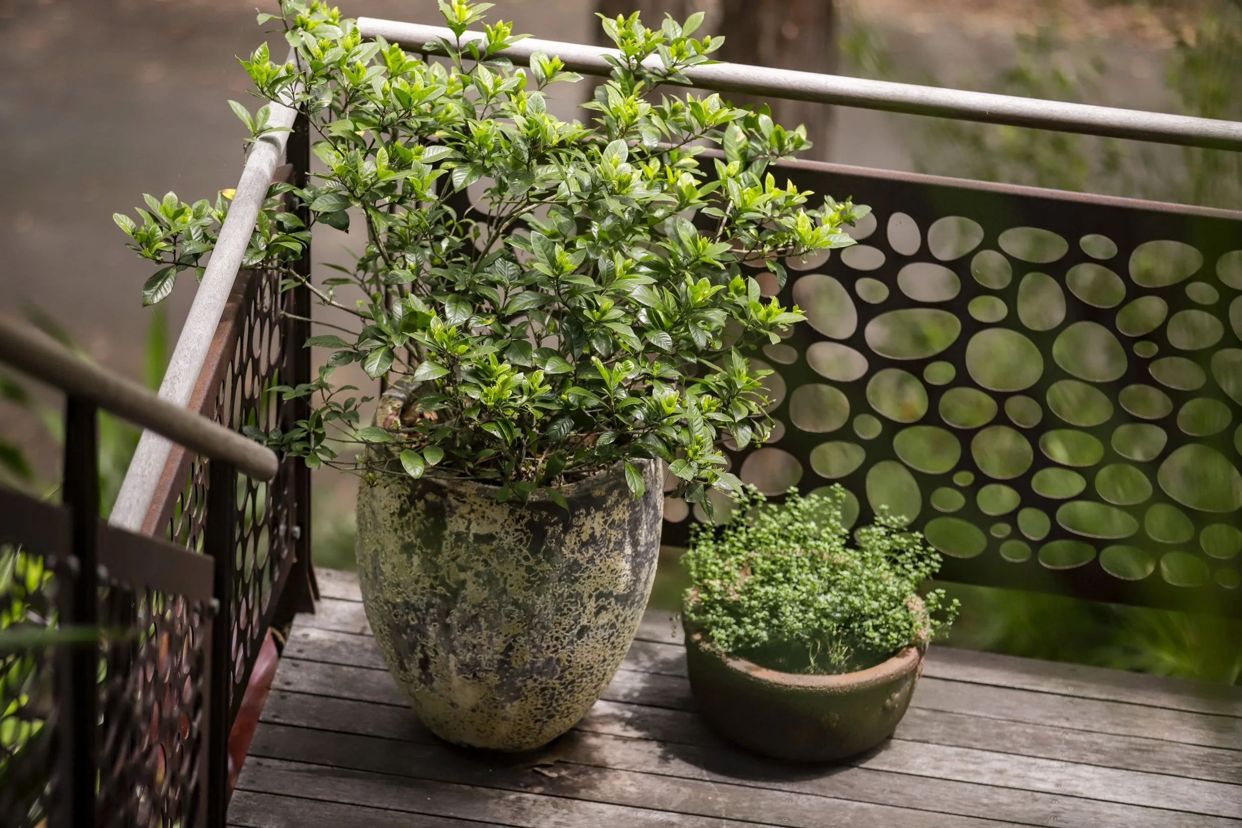 Pittwater House — PBDW Architects