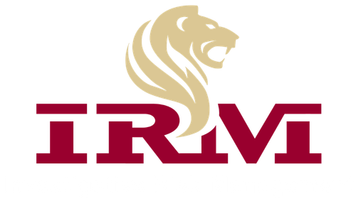 Investigative Risk Management