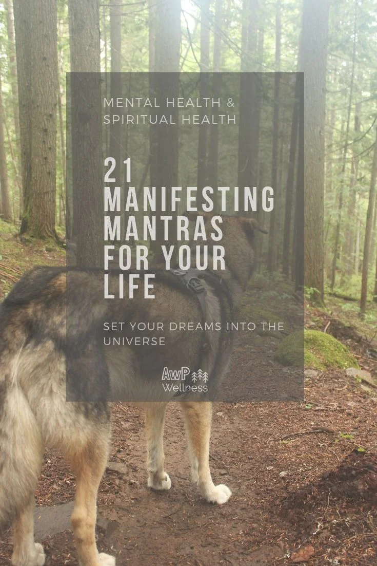 21 Manifesting Mantras for Your Life — Adventuring with Poseidon ...