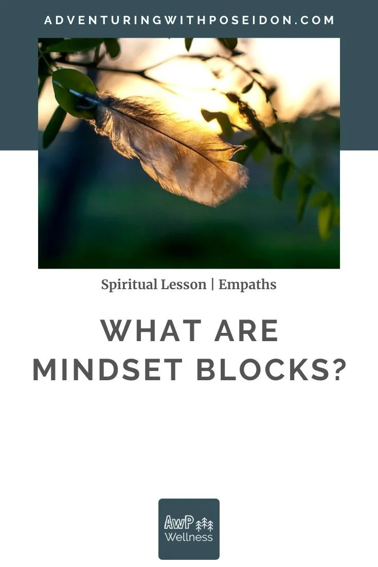 What Are Mindset Blocks? — Adventuring with Poseidon Wellness ...