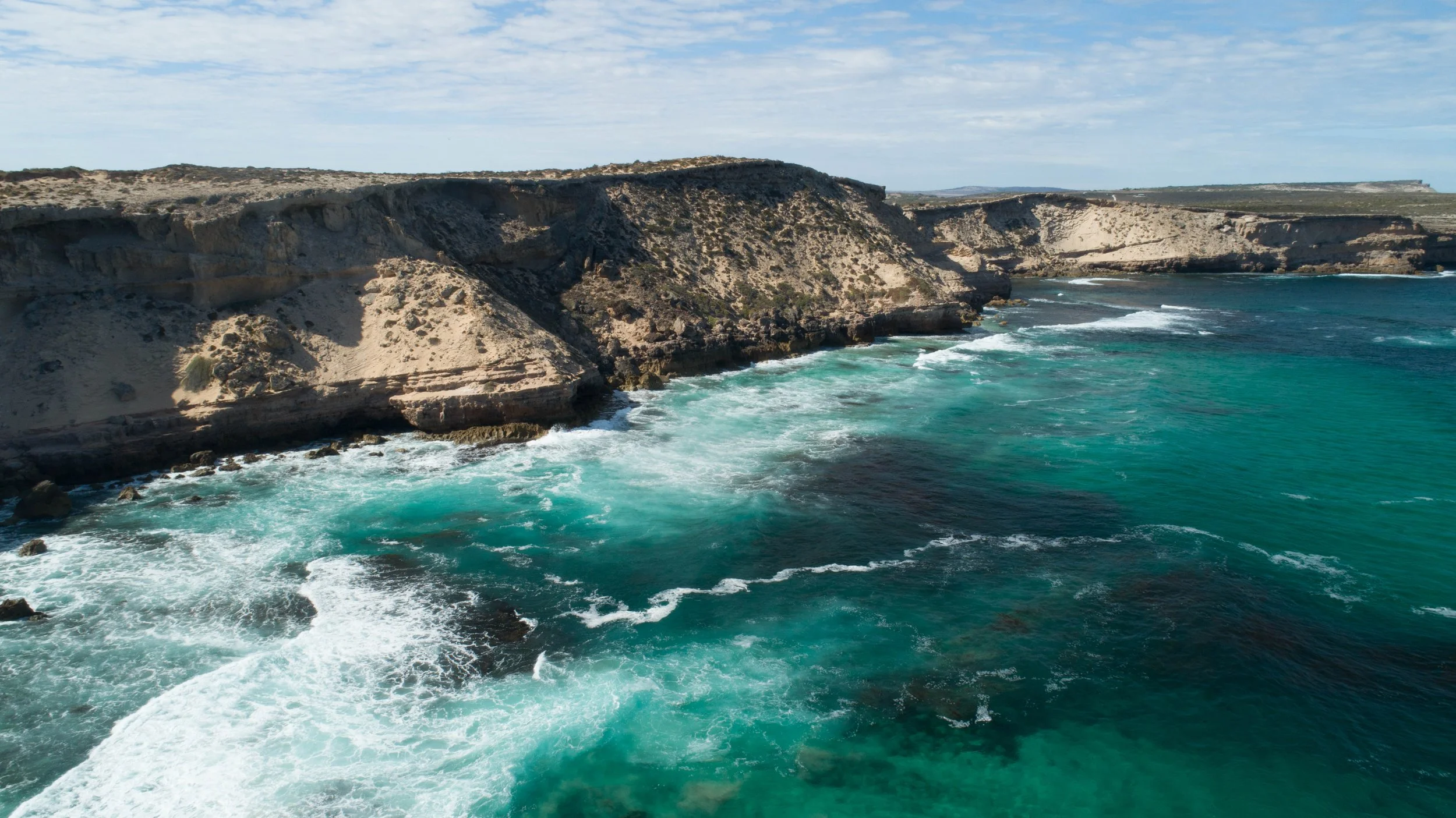 Citizen Science | Great Southern Reef
