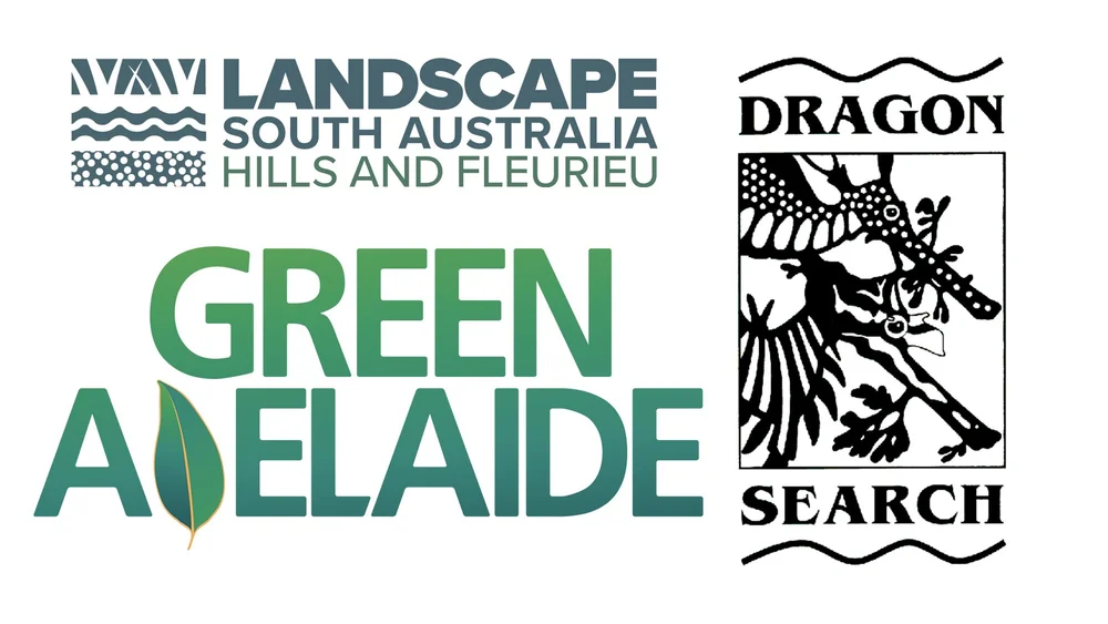 Dragon Search SA | Great Southern Reef