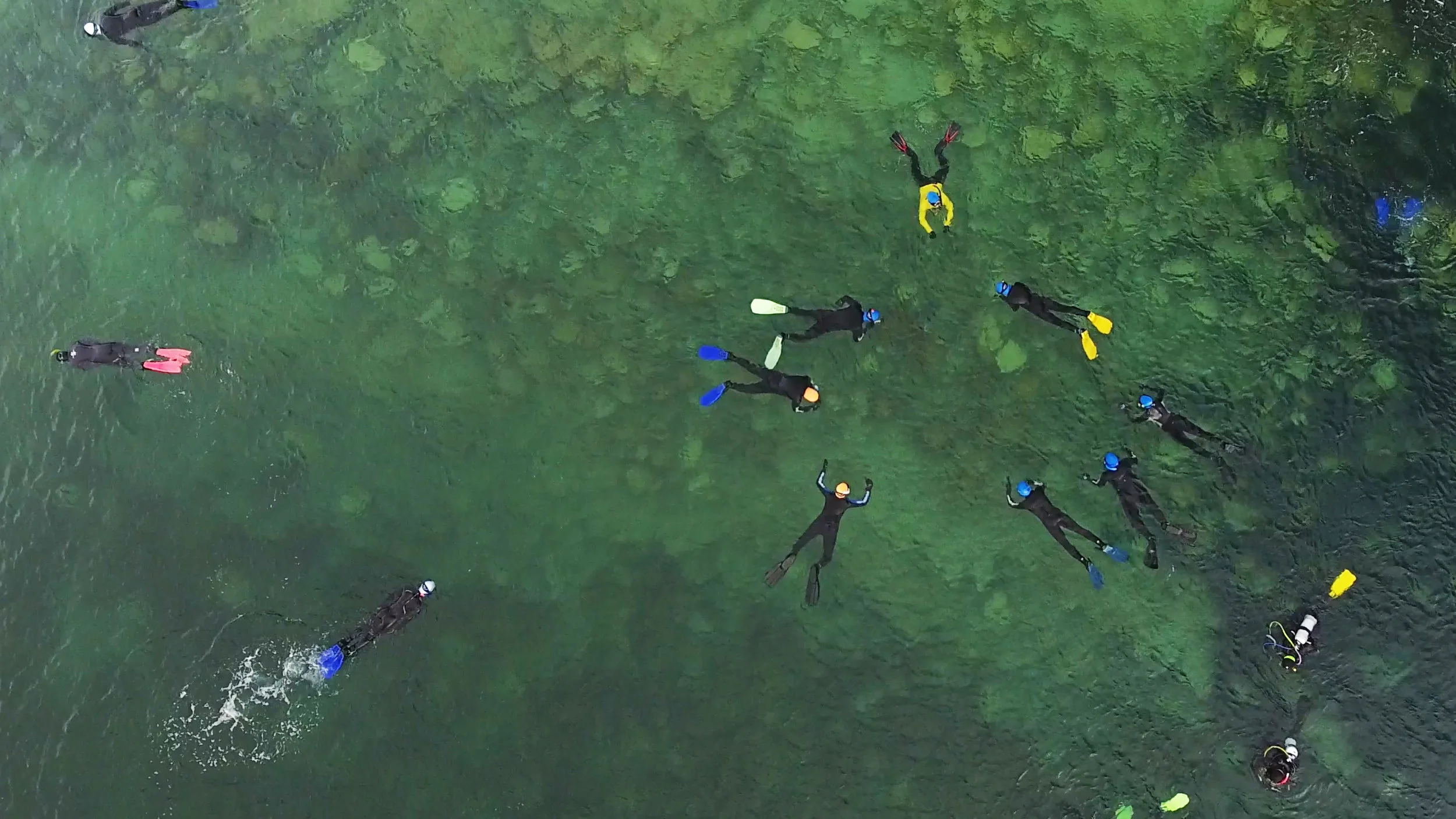 Frequently Asked Questions | Great Southern Reef