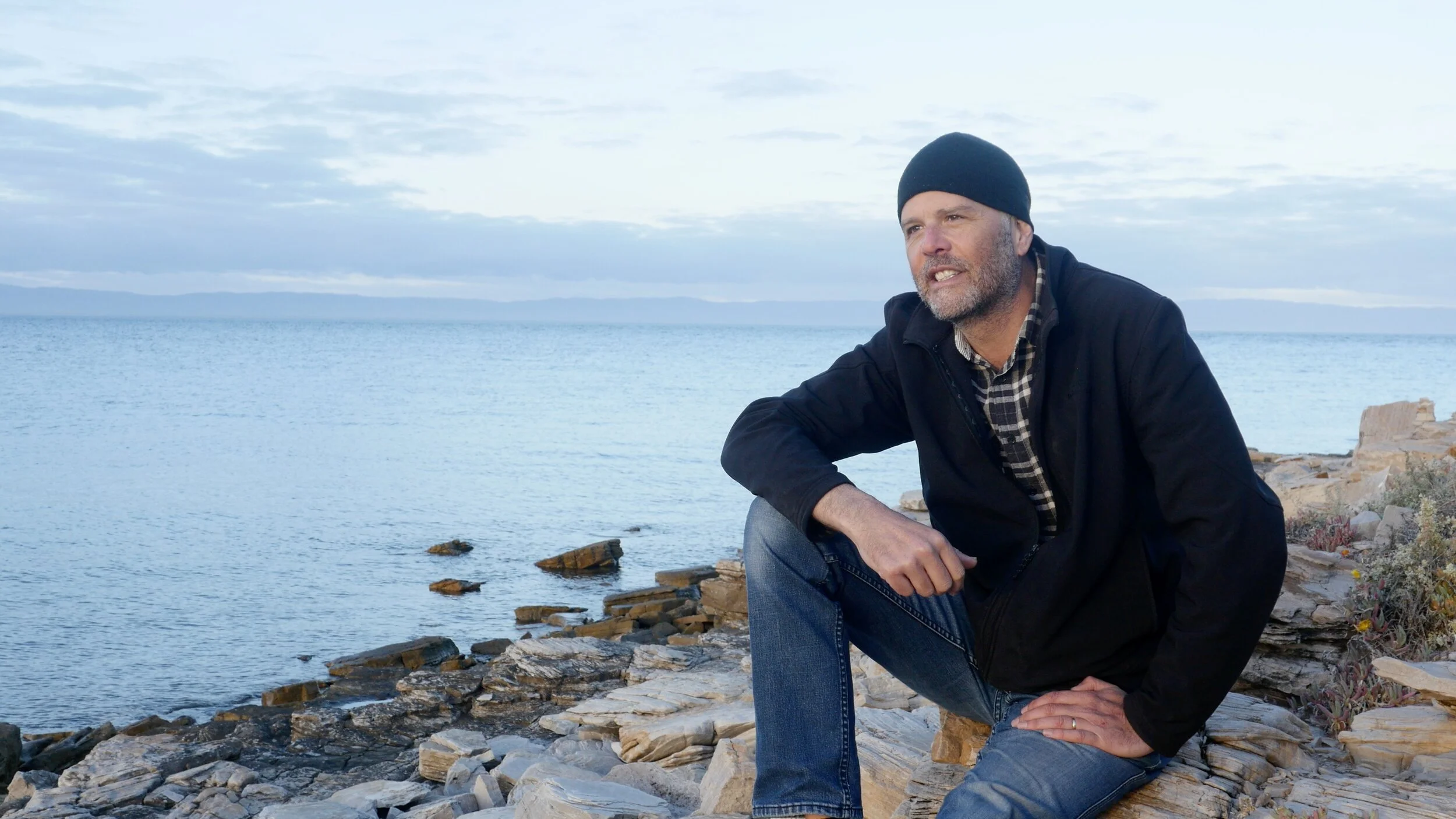 Giant Australian Cuttlefish | Great Southern Reef