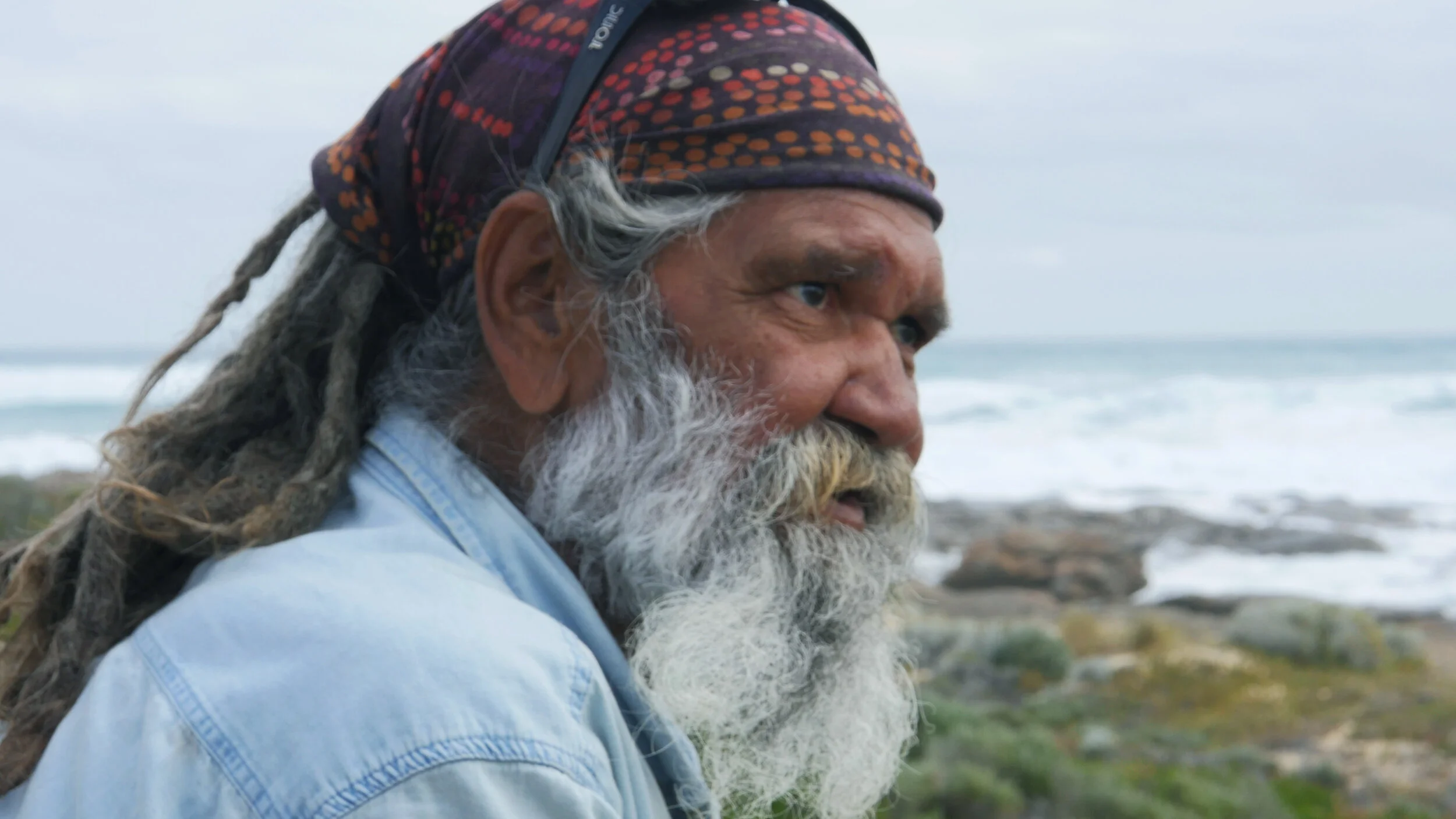 Zac Webb | Great Southern Reef