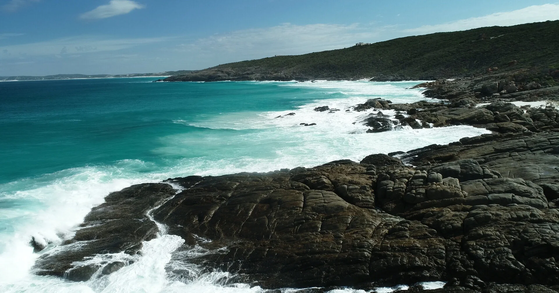 Discover the Unique Places of the Great Southern Reef | Explore ...