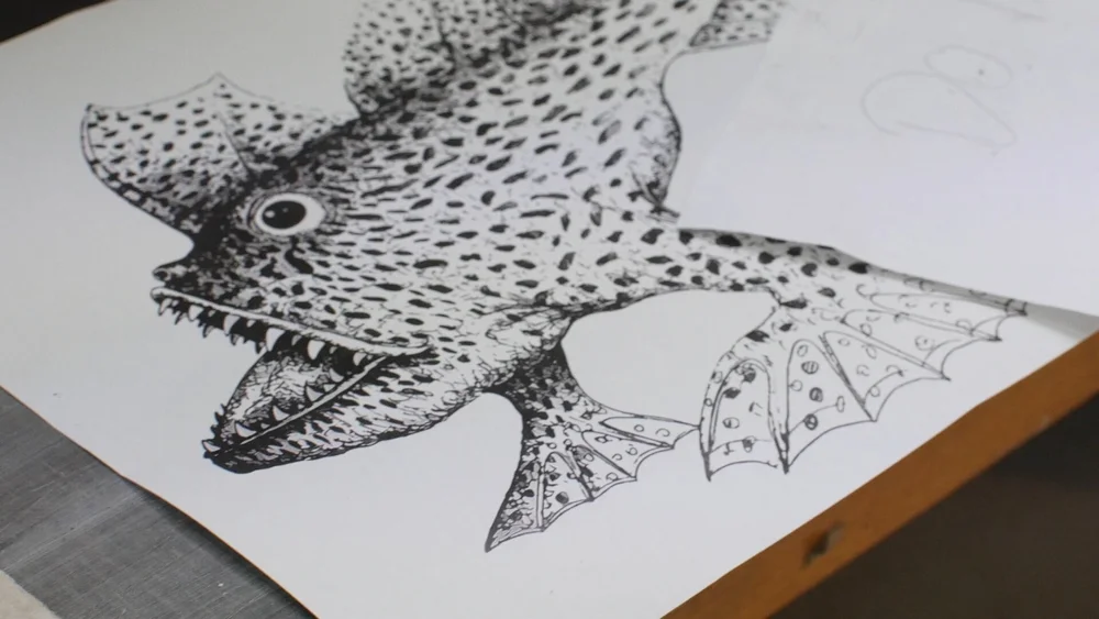 Spotted Handfish | Great Southern Reef