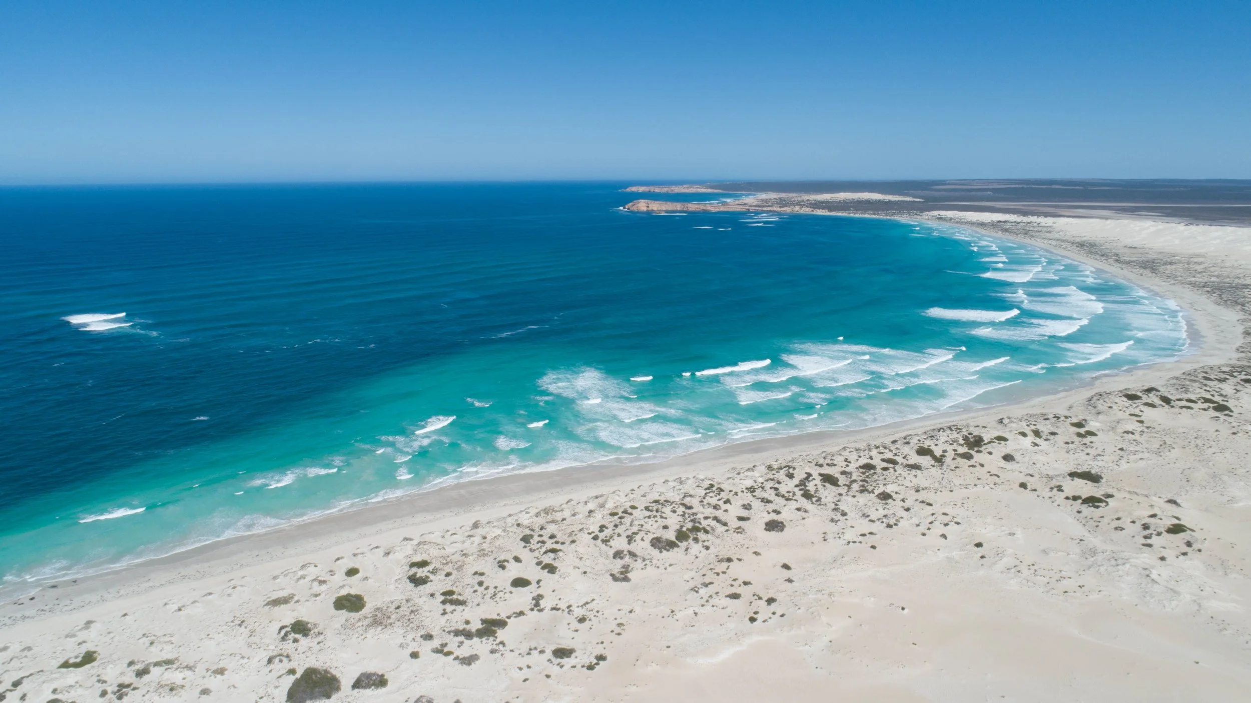 GET INVOLVED | Great Southern Reef