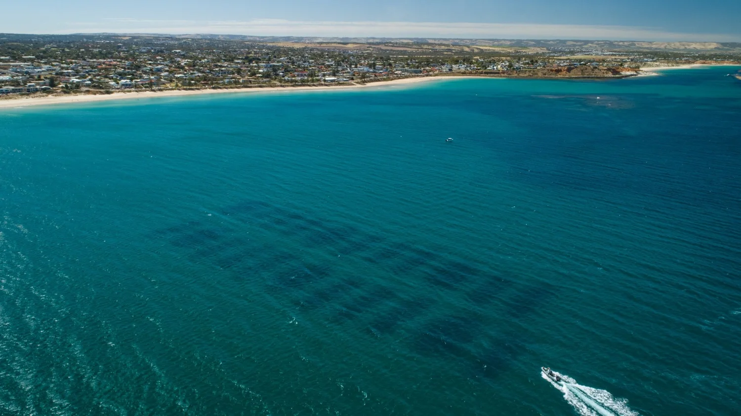 Restoration | Great Southern Reef