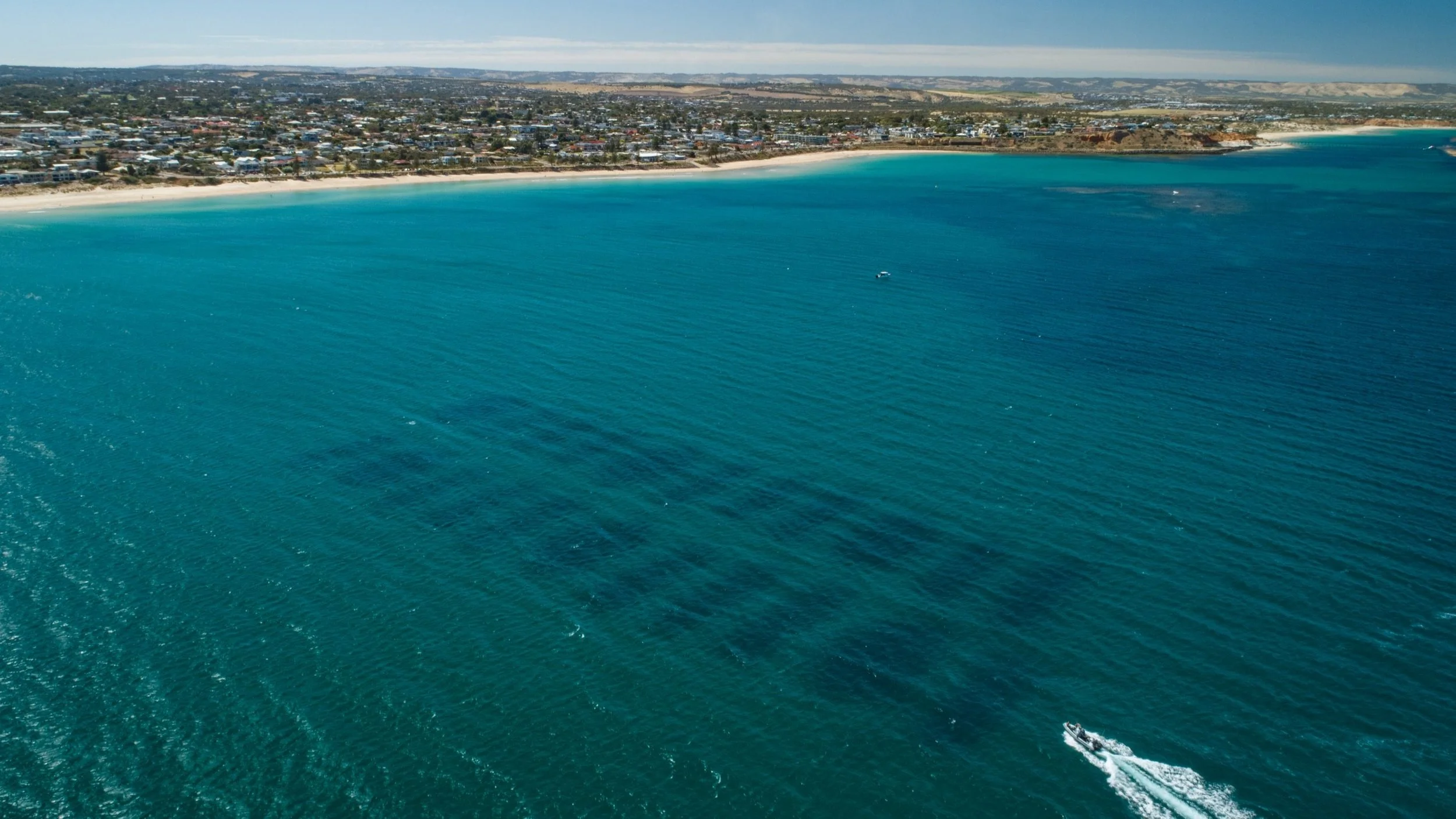 Restoration | Great Southern Reef