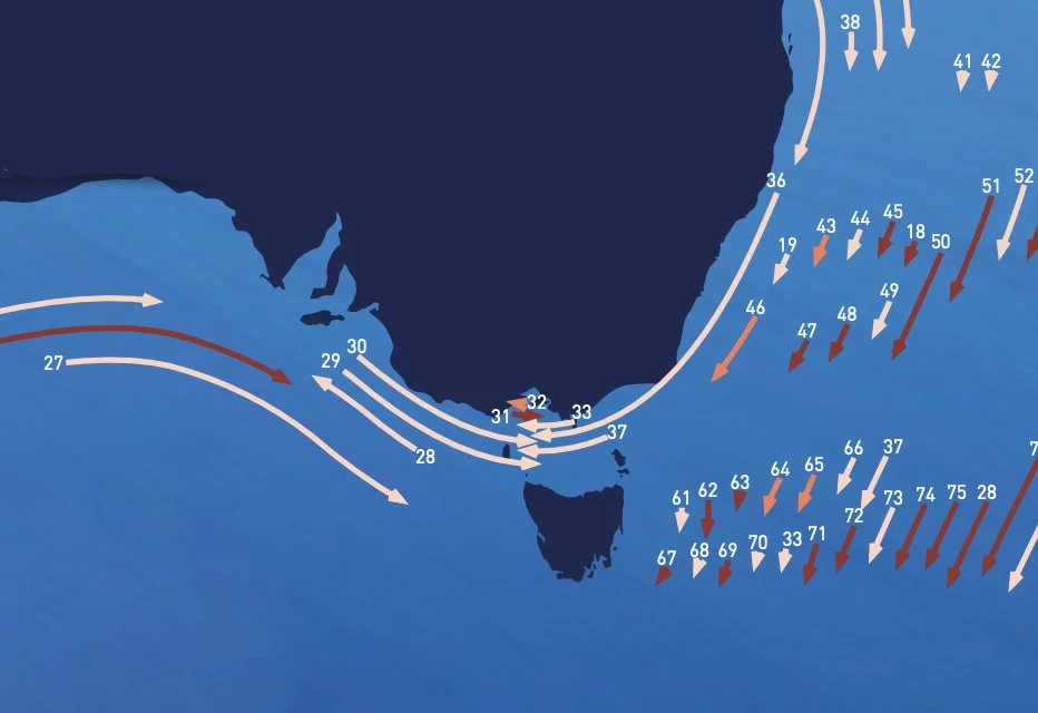 Citizen Science | Great Southern Reef