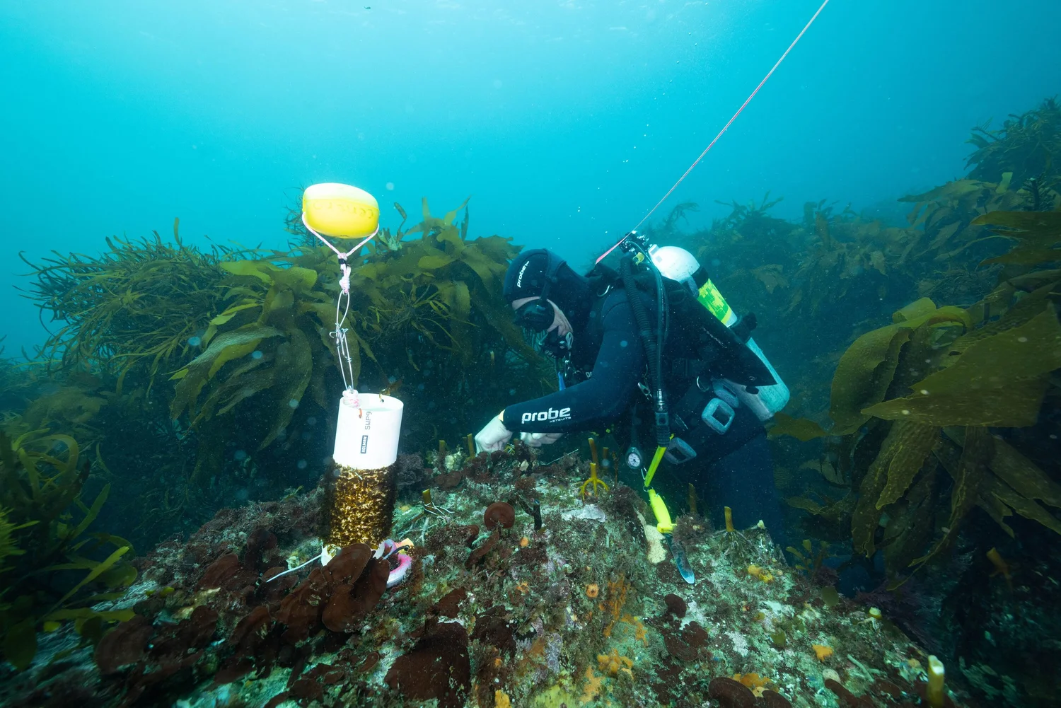 Teacher Guides | Great Southern Reef
