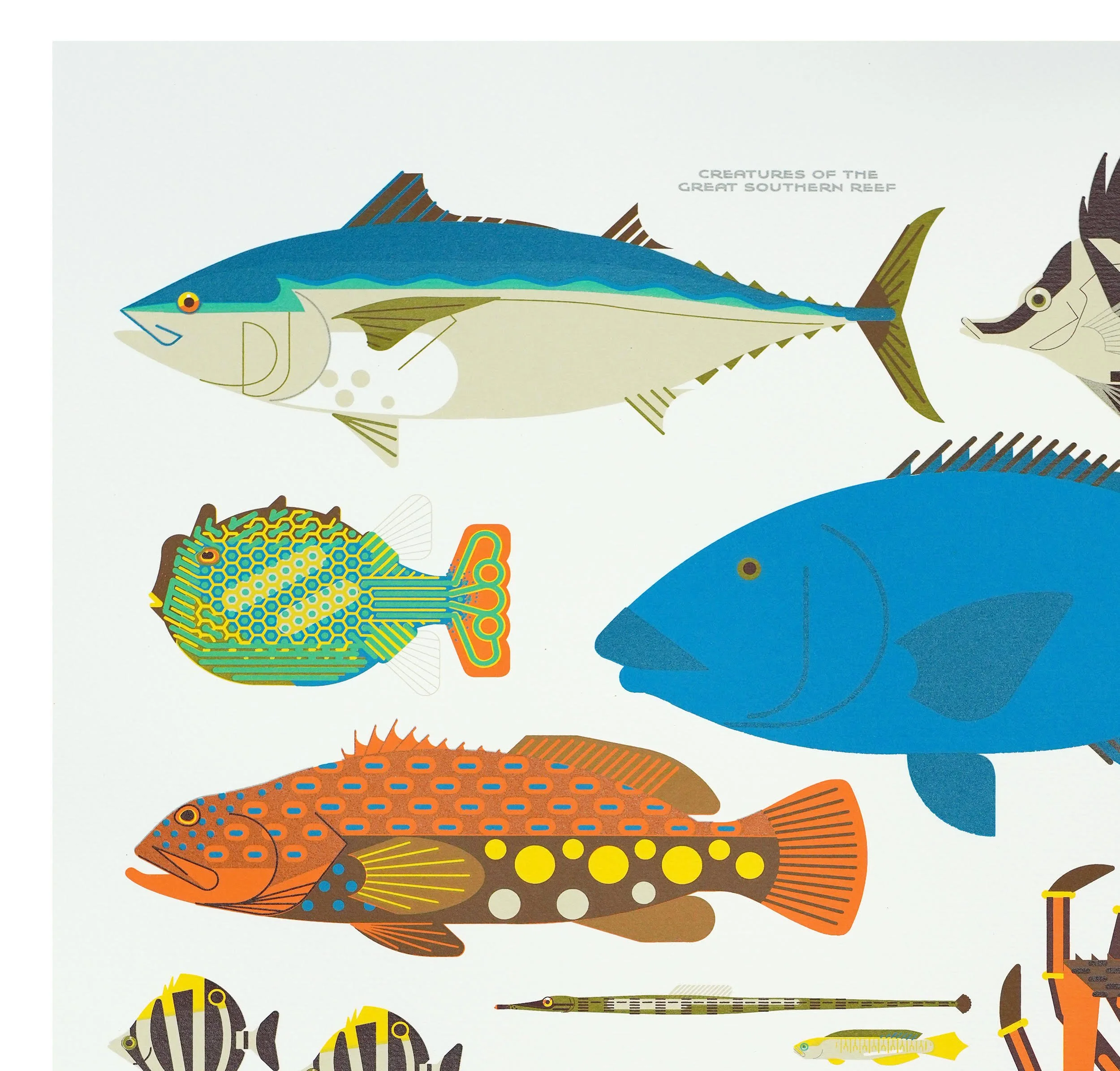 Limited Edition Print: Iconic Species of the Great Southern Reef by ...