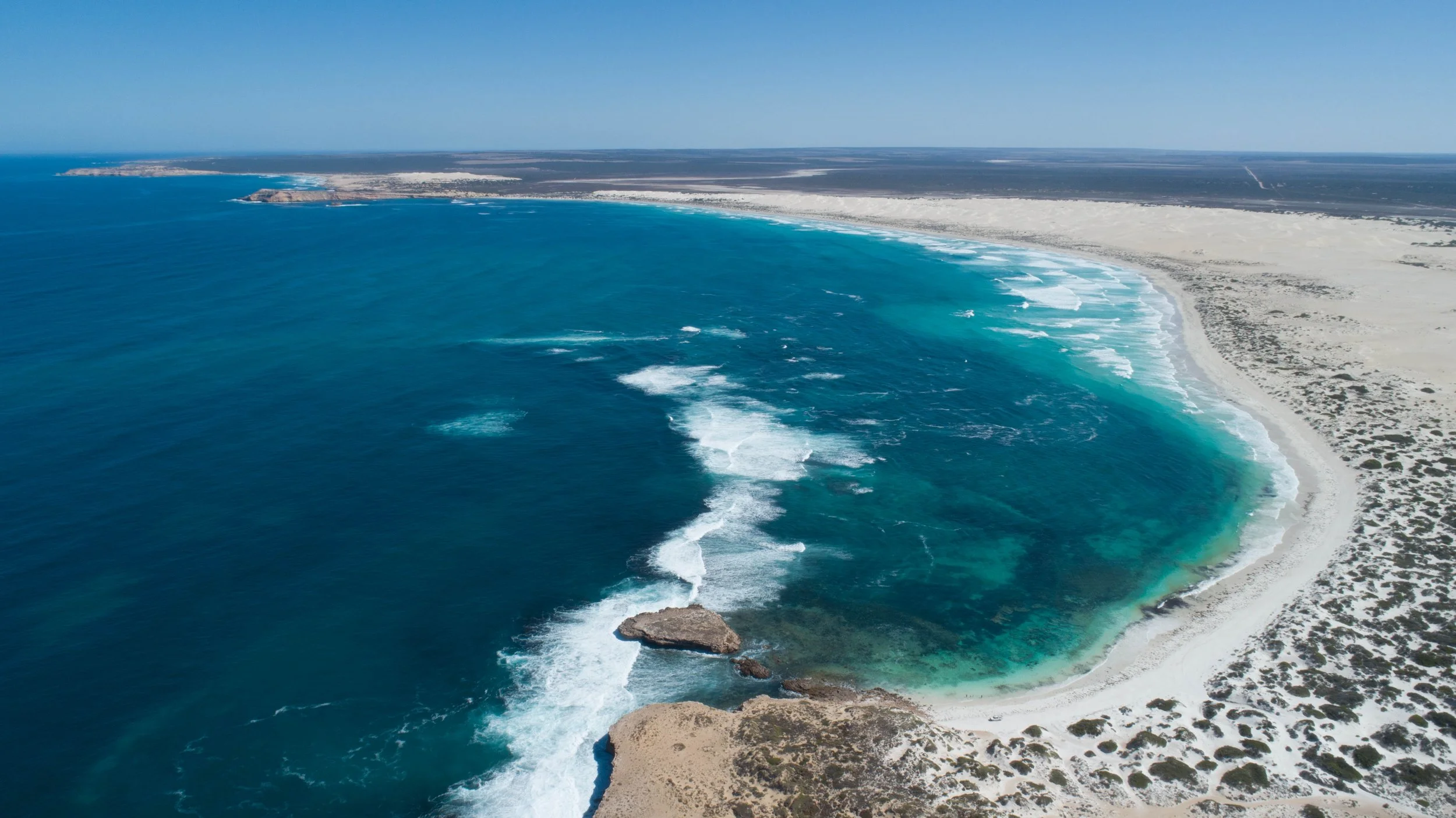 Our Work | Great Southern Reef