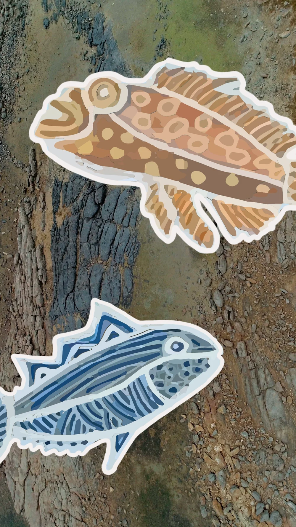 Enriching Ocean Literacy with First Nations Insights | Great Southern Reef