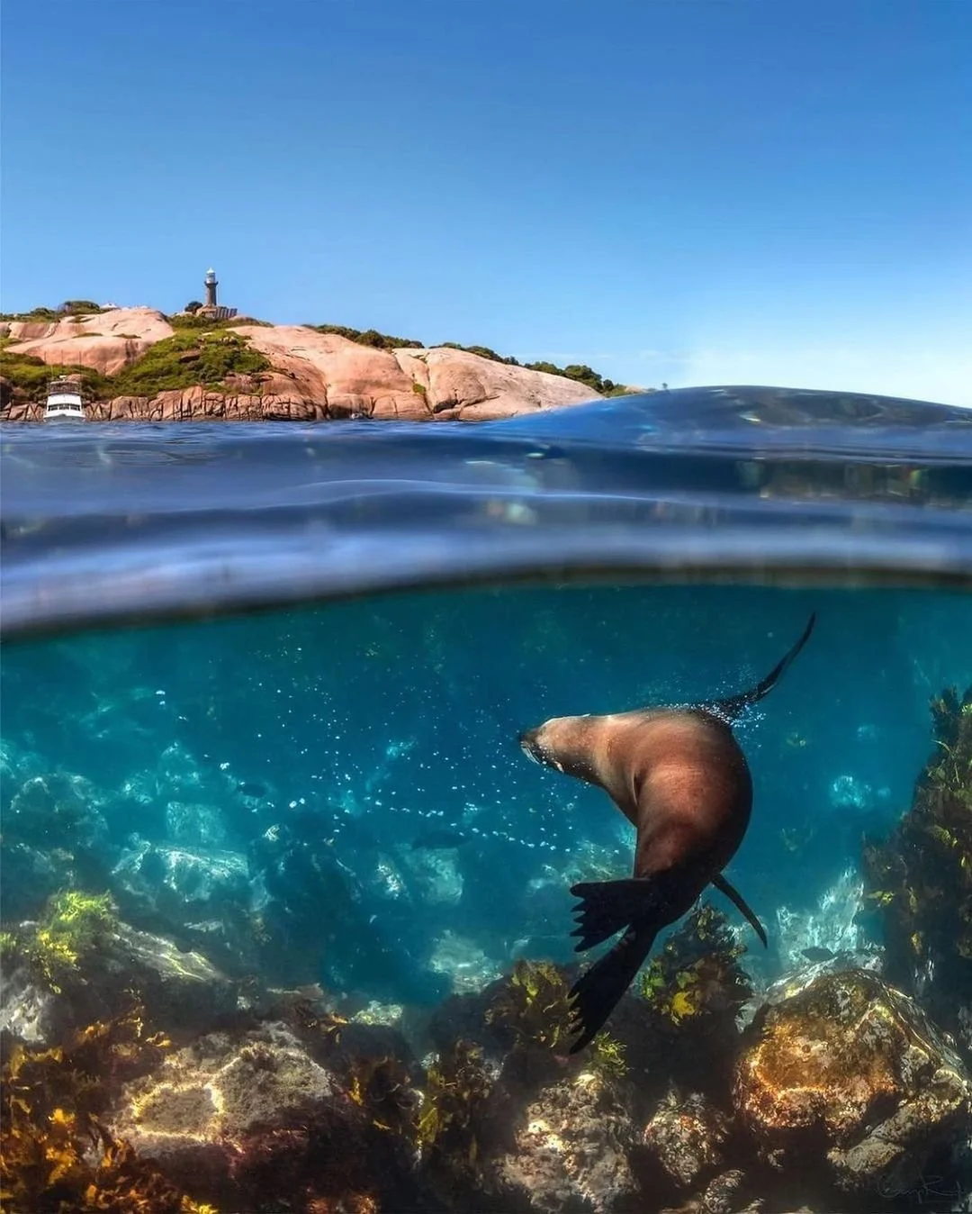 2021 feature photographers of the Great Southern Reef | Great Southern Reef