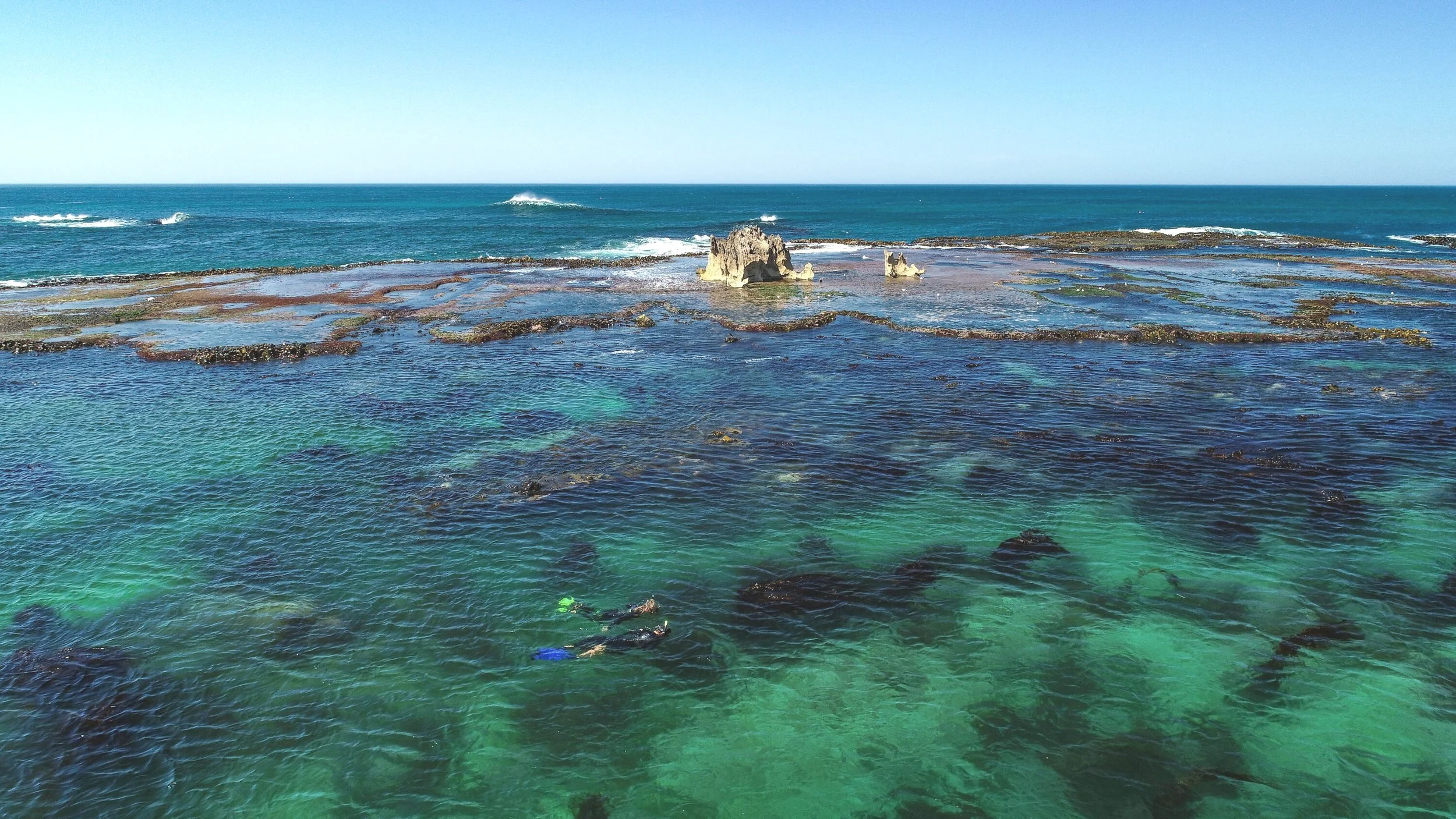 Class Debate — Great Southern Reef
