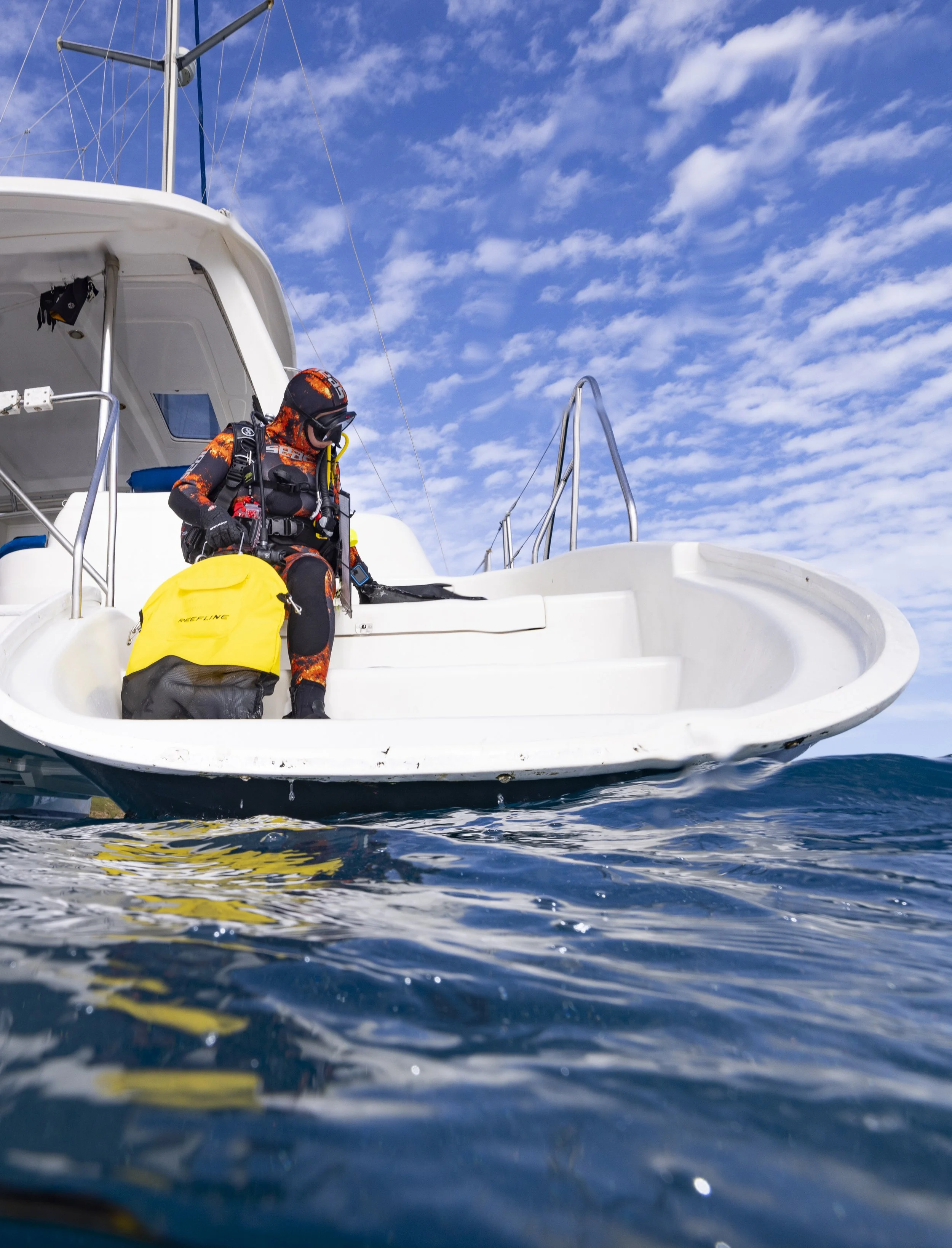 Frequently Asked Questions | Great Southern Reef