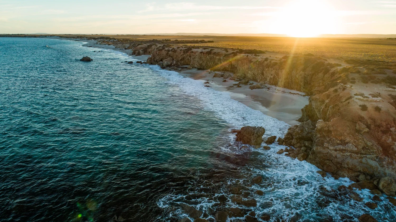 Values | Great Southern Reef