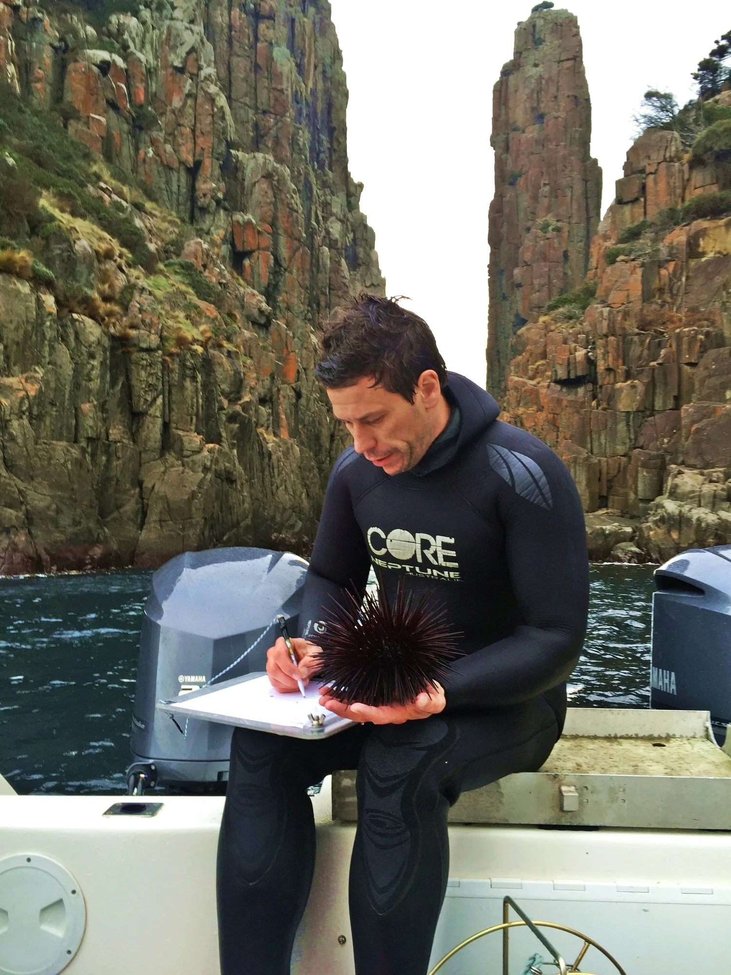 Asoc. Prof. Scott Ling | Great Southern Reef