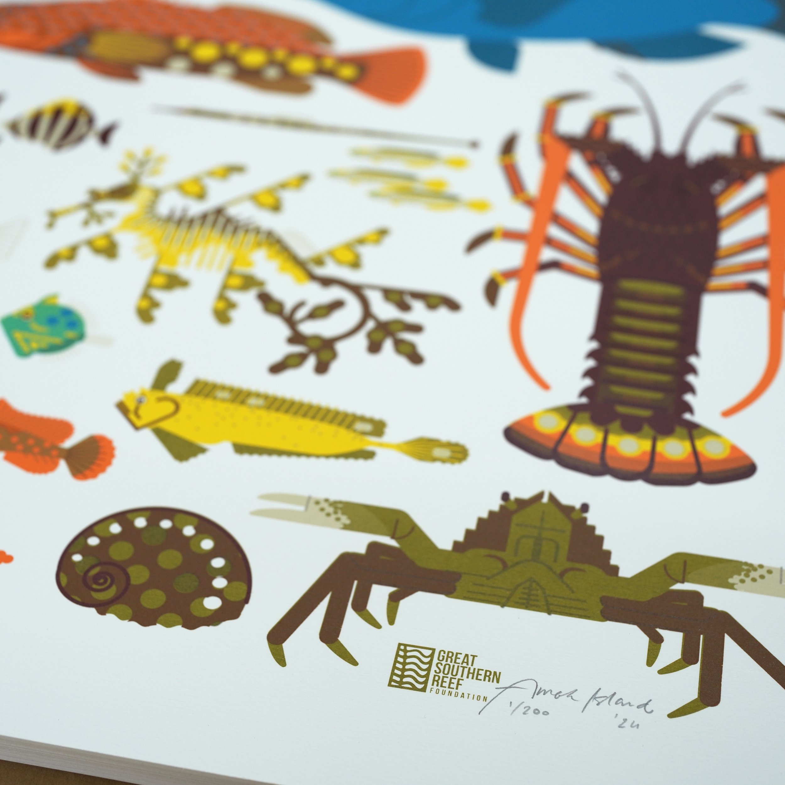 Limited Edition Print: Iconic Species of the Great Southern Reef by ...