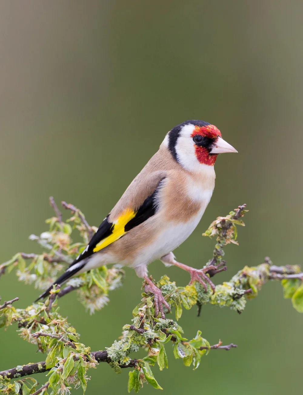Feeding Tiny Beaks — WOMAN'S WAY