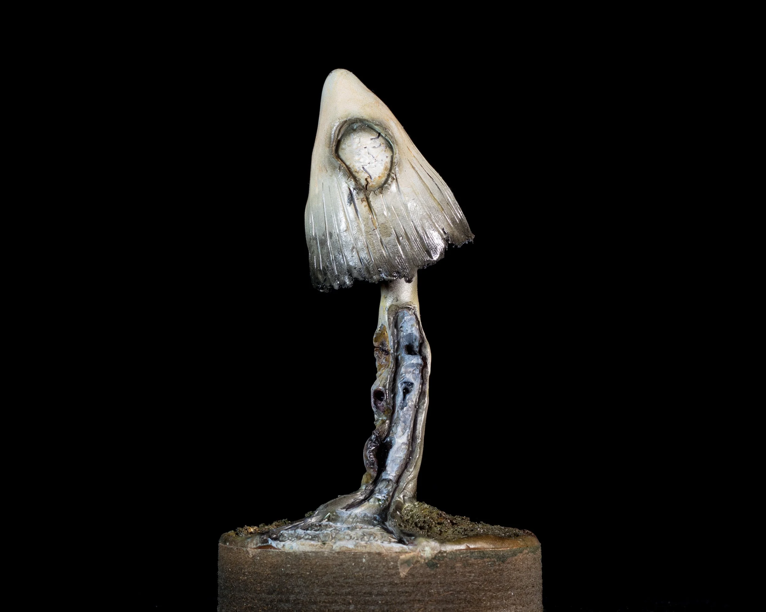 Mushrooms — Michael Meech